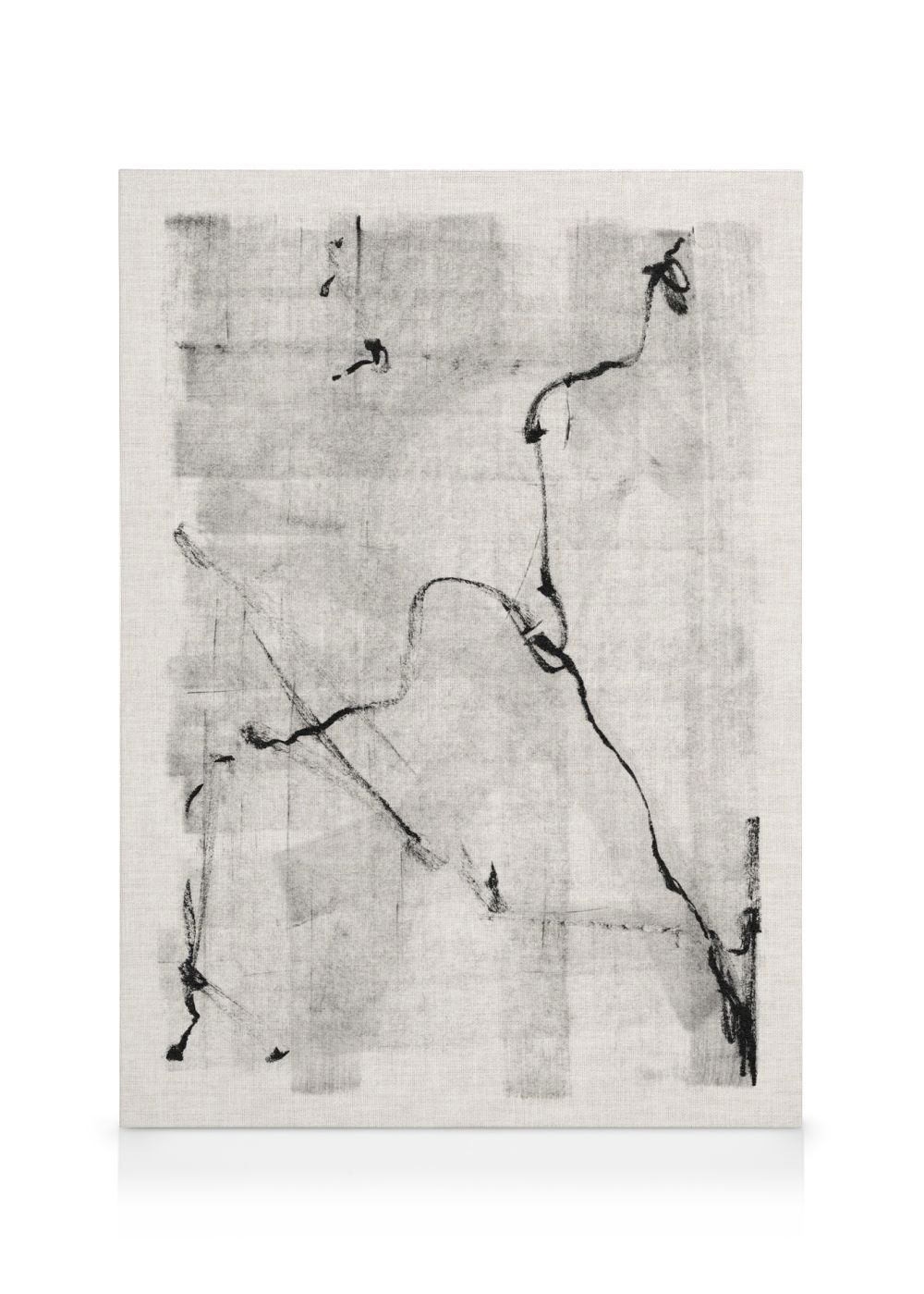 Black Lines Art Canvas print