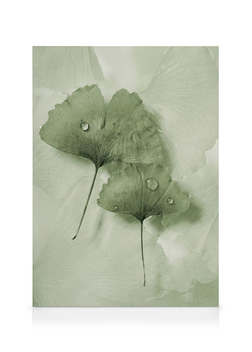 Groene Ginkgo Canvas – Natuurlijke Wanddecoratie | Desenio