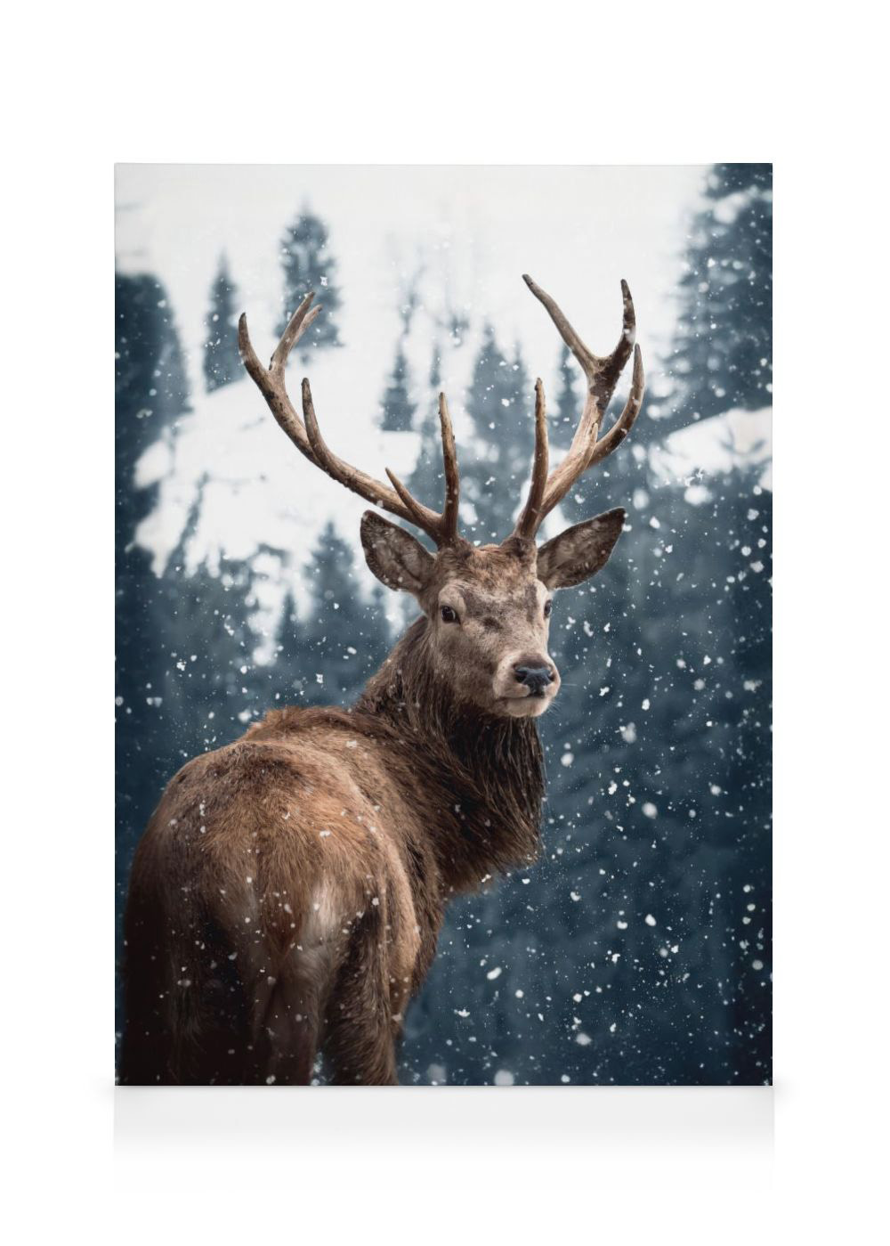 Red Deer in Snow Canvas - Winter Wildlife Art | Desenio EU