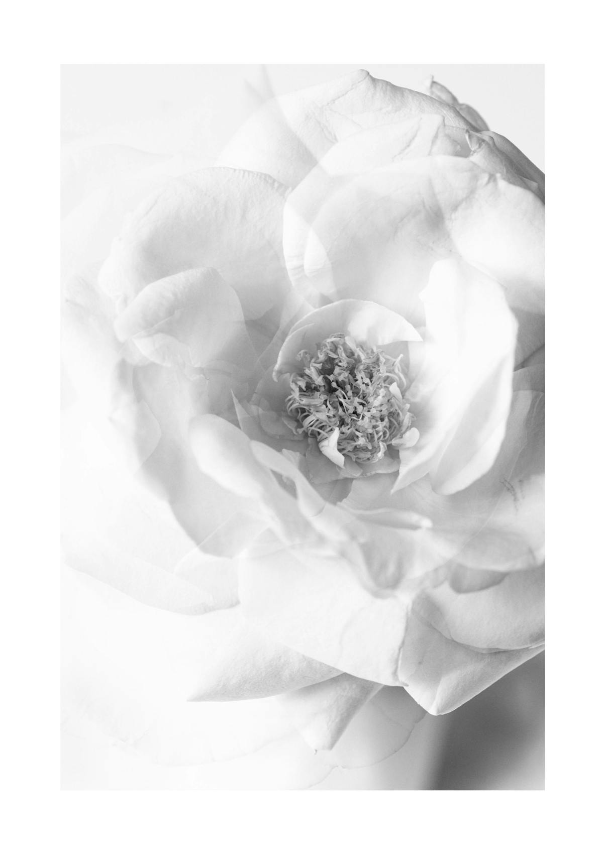 Incomplete Sketch Print – Artistic Poster | Desenio