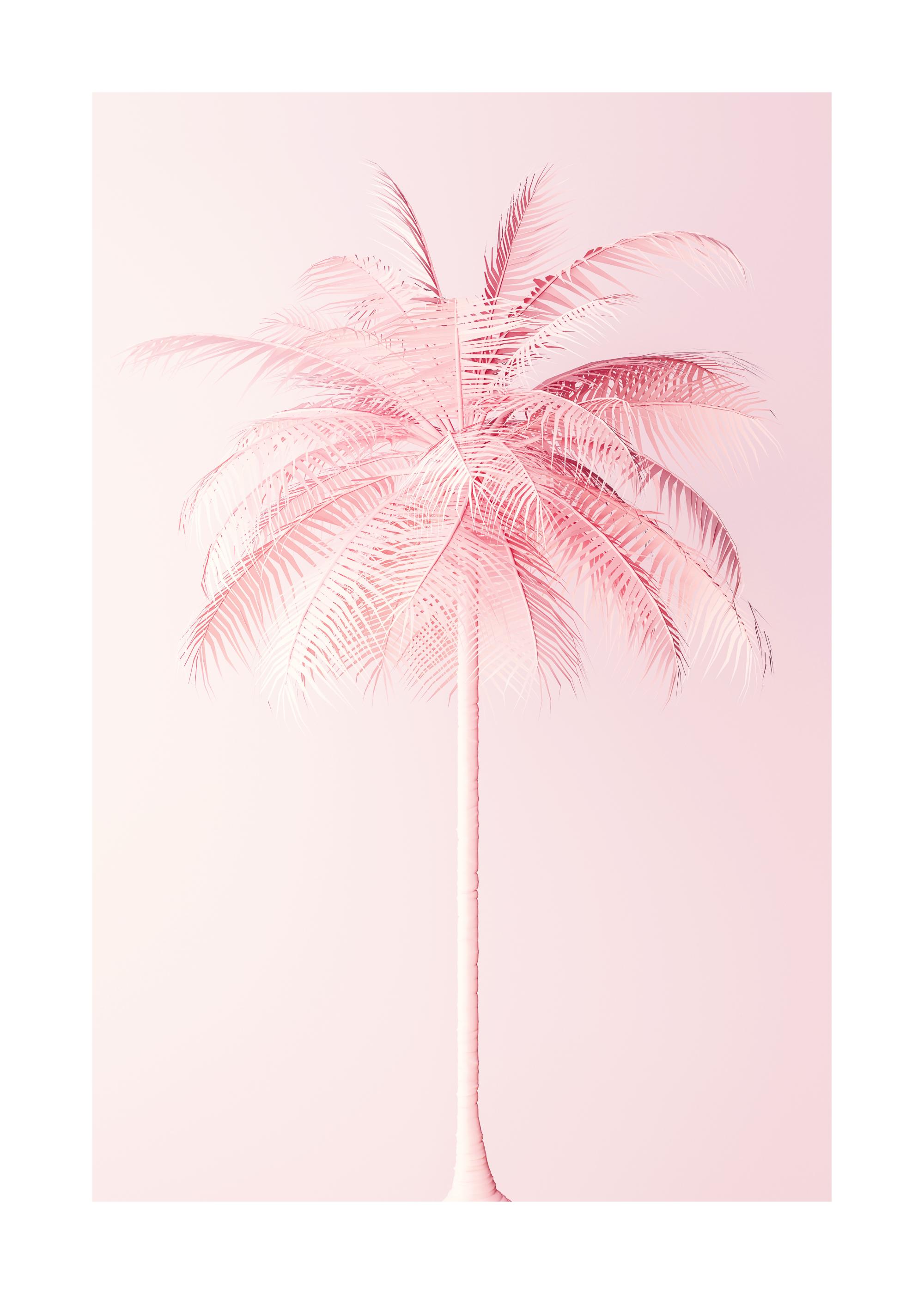 Pastel Pink Palm Poster – Minimal Art Print | Desenio UK