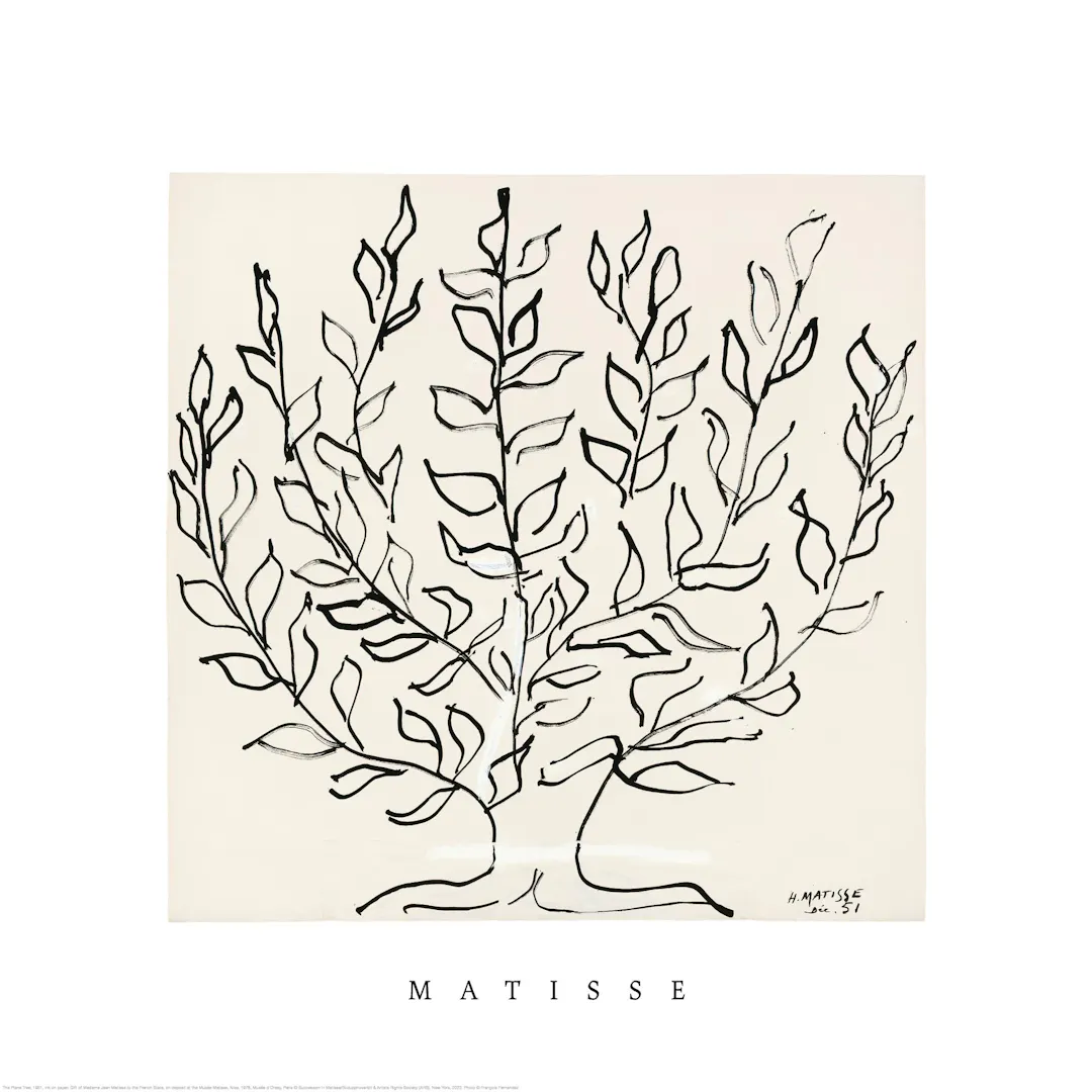 Matisse - The Plane Tree Square Print | Art Print Poster by Desenio