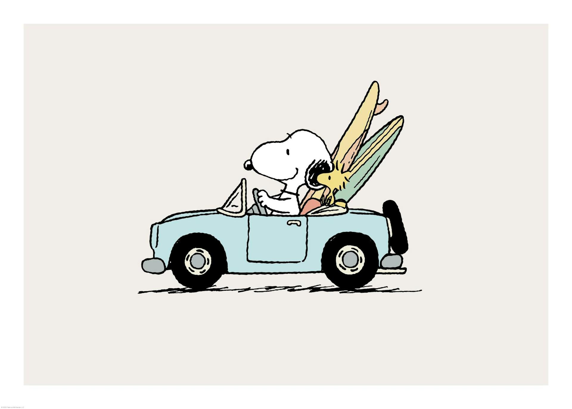 Snoopy Driving Print – Fun Cartoon Poster | Desenio