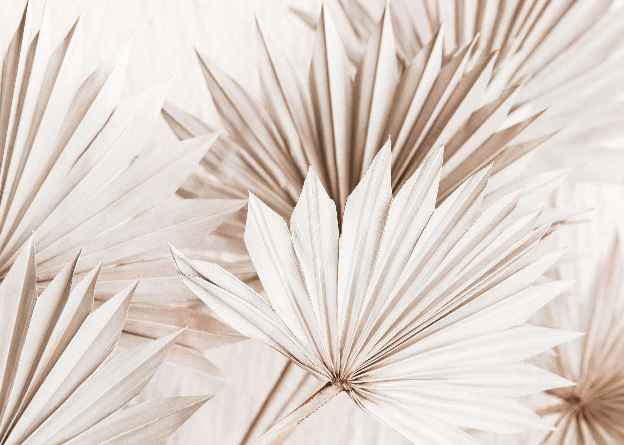 Beige Palm Leaves Print – Neutral Botanical Poster | Desenio