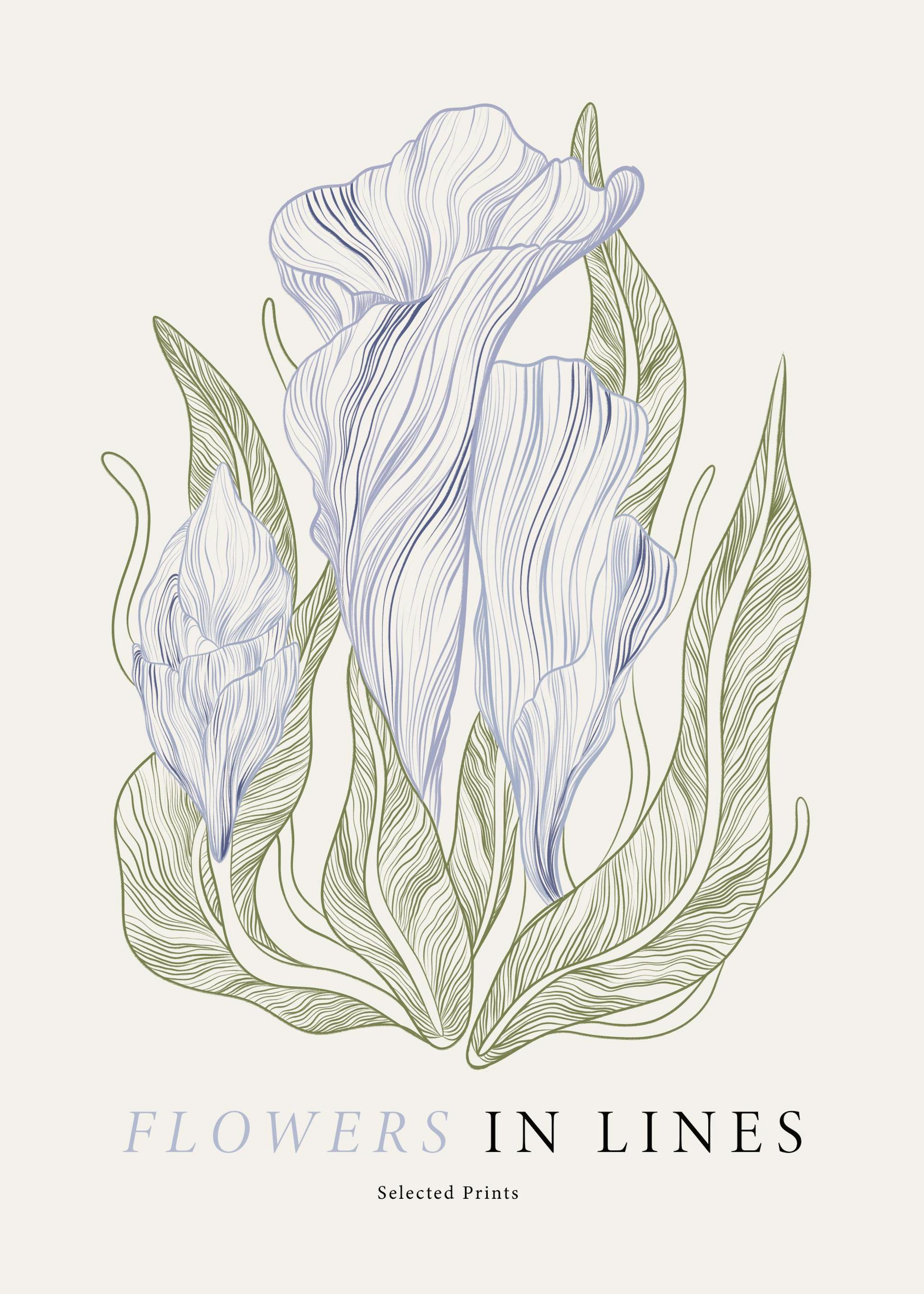 Line art posters | Posters with line art designs | Desenio.com