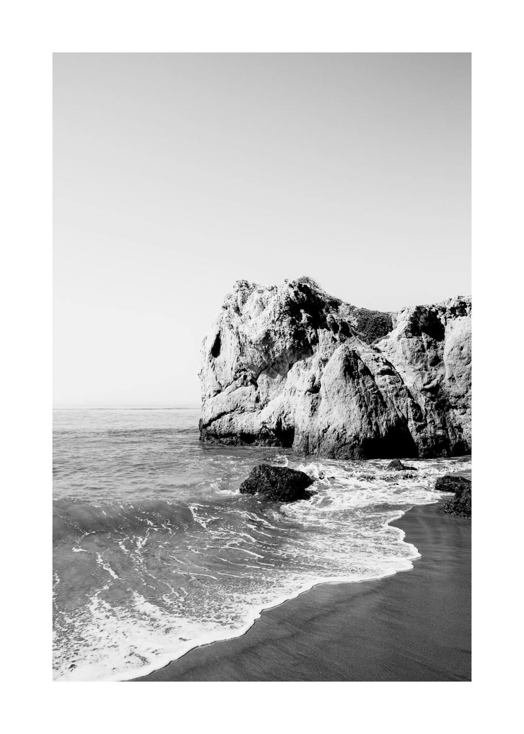 Lonely Wanaka Tree Poster
