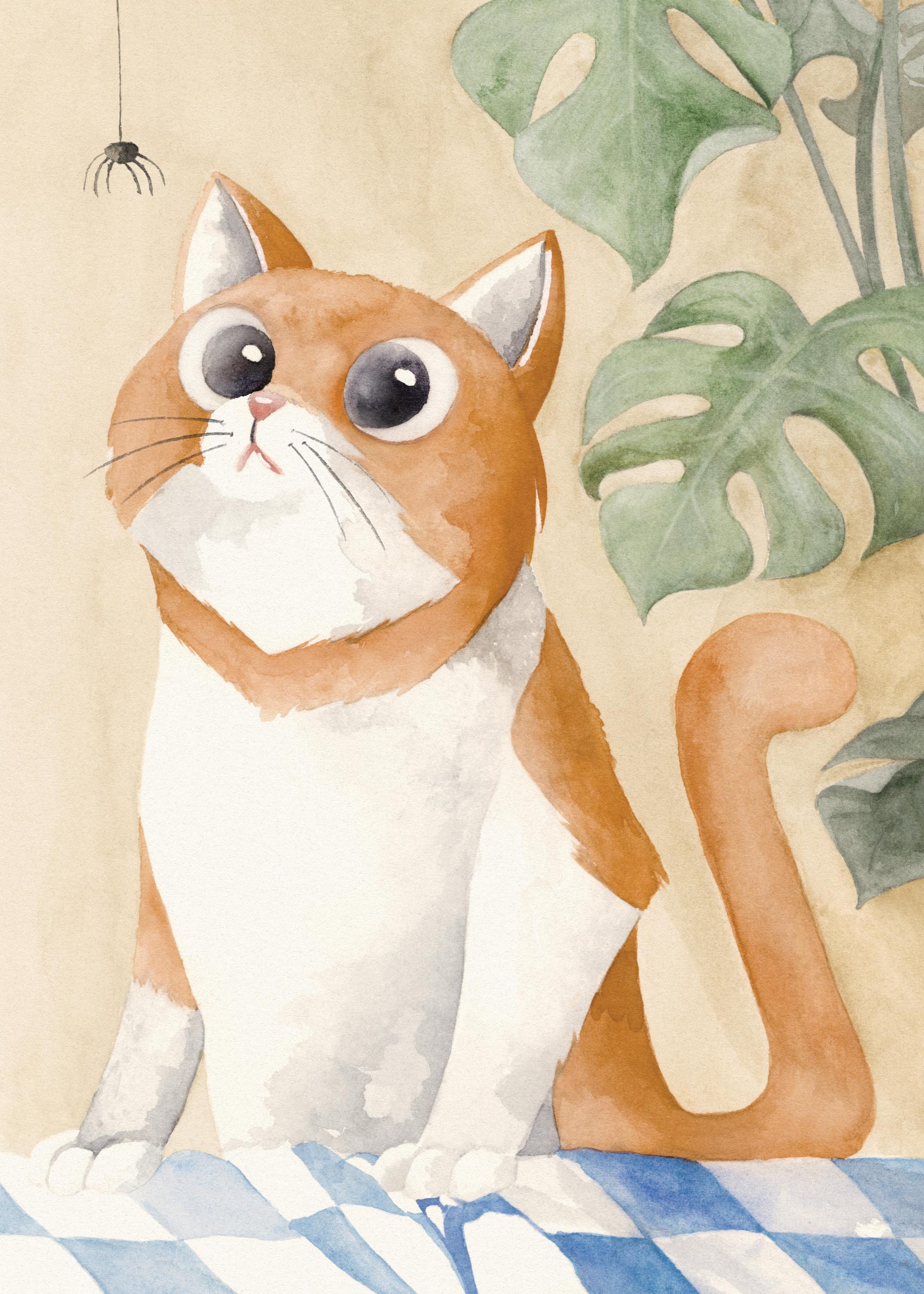 Curious Cat Poster – Söt kattposter för vägg | Desenio
