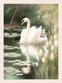 Majestic Swan Print