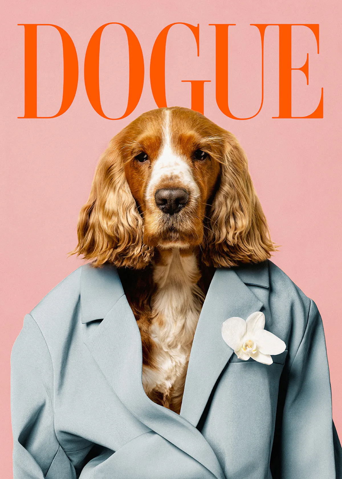 Vintage Doggo Canvas Print – Fun Dog Art | Desenio