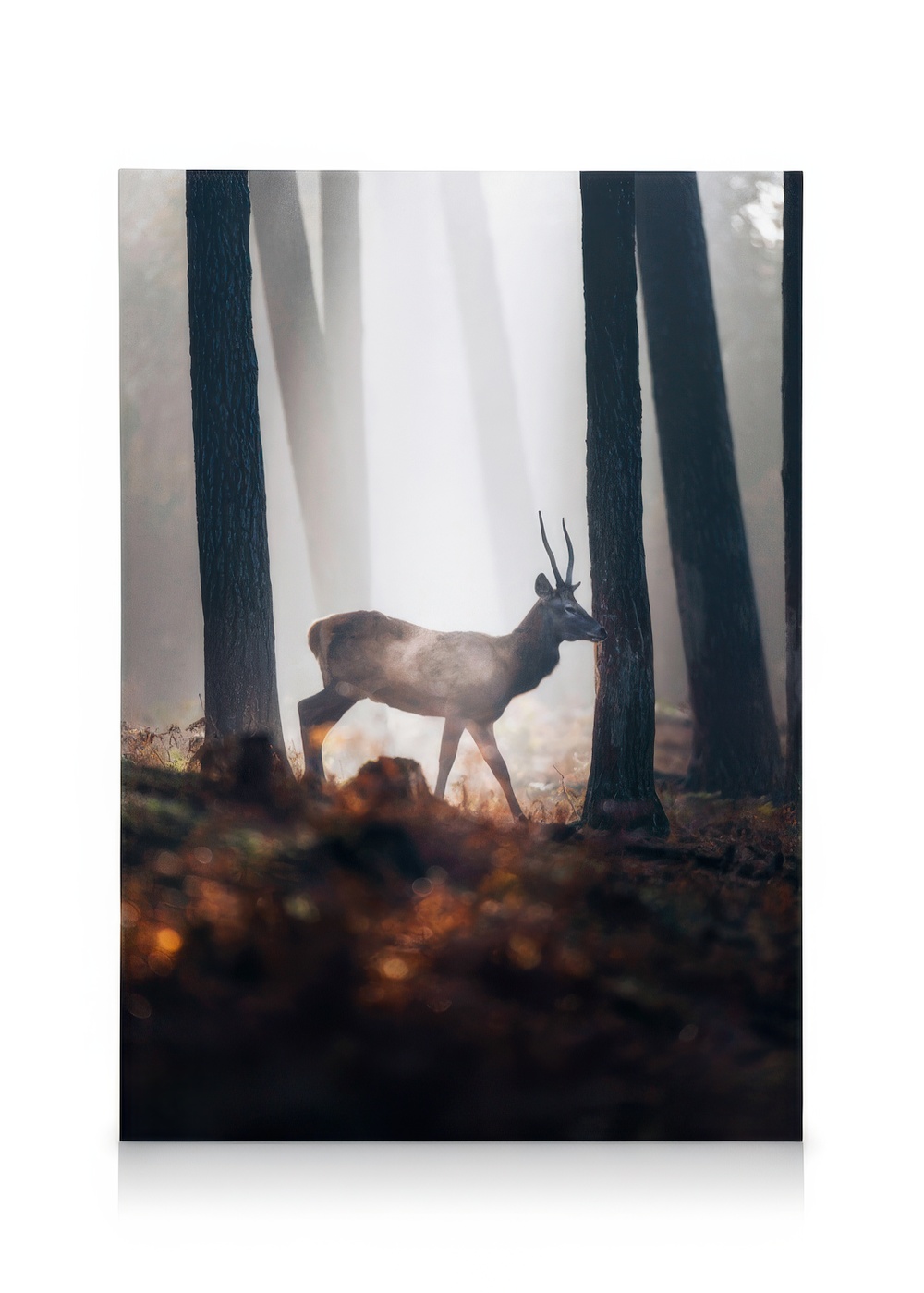 Red Deer Canvas Print – Mystical Forest Wall Poster | Desenio