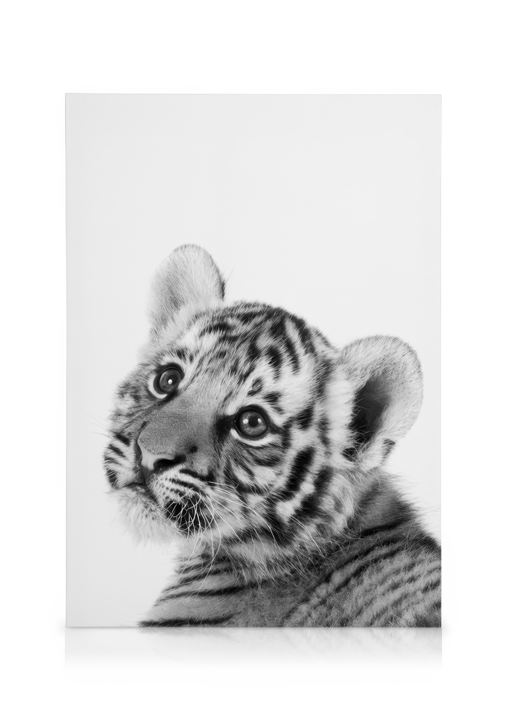 Baby Tiger Canvastavla – Söt djurtavla för barnrum | Desenio