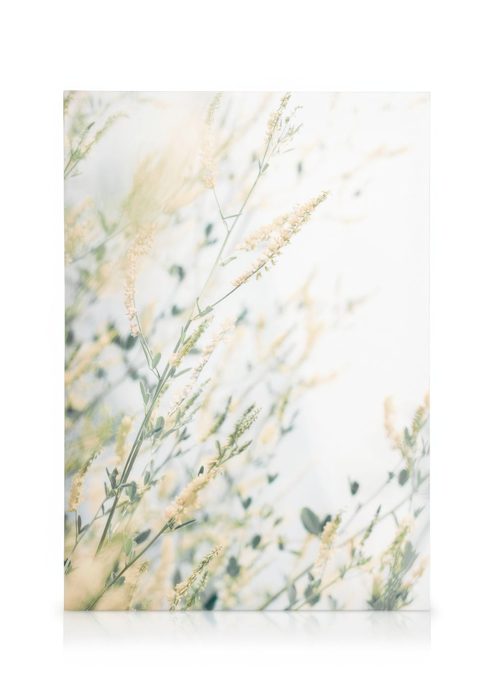 Toile fleur jaune haute – Tableau floral doux et lumineux