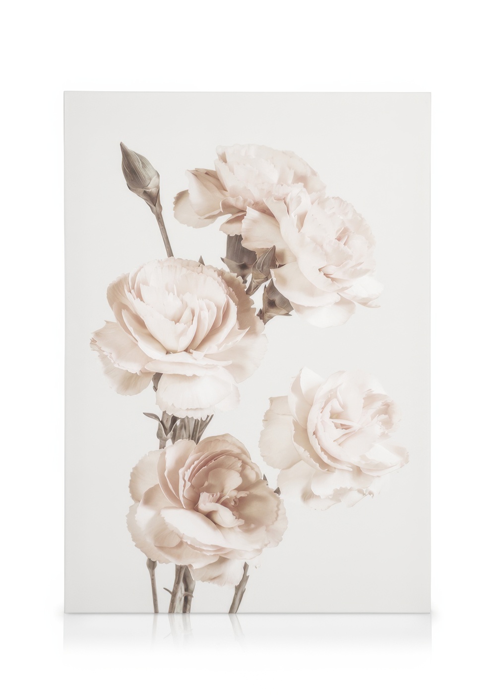 The Beauty Of Flowers Canvas Print – Desenio UK