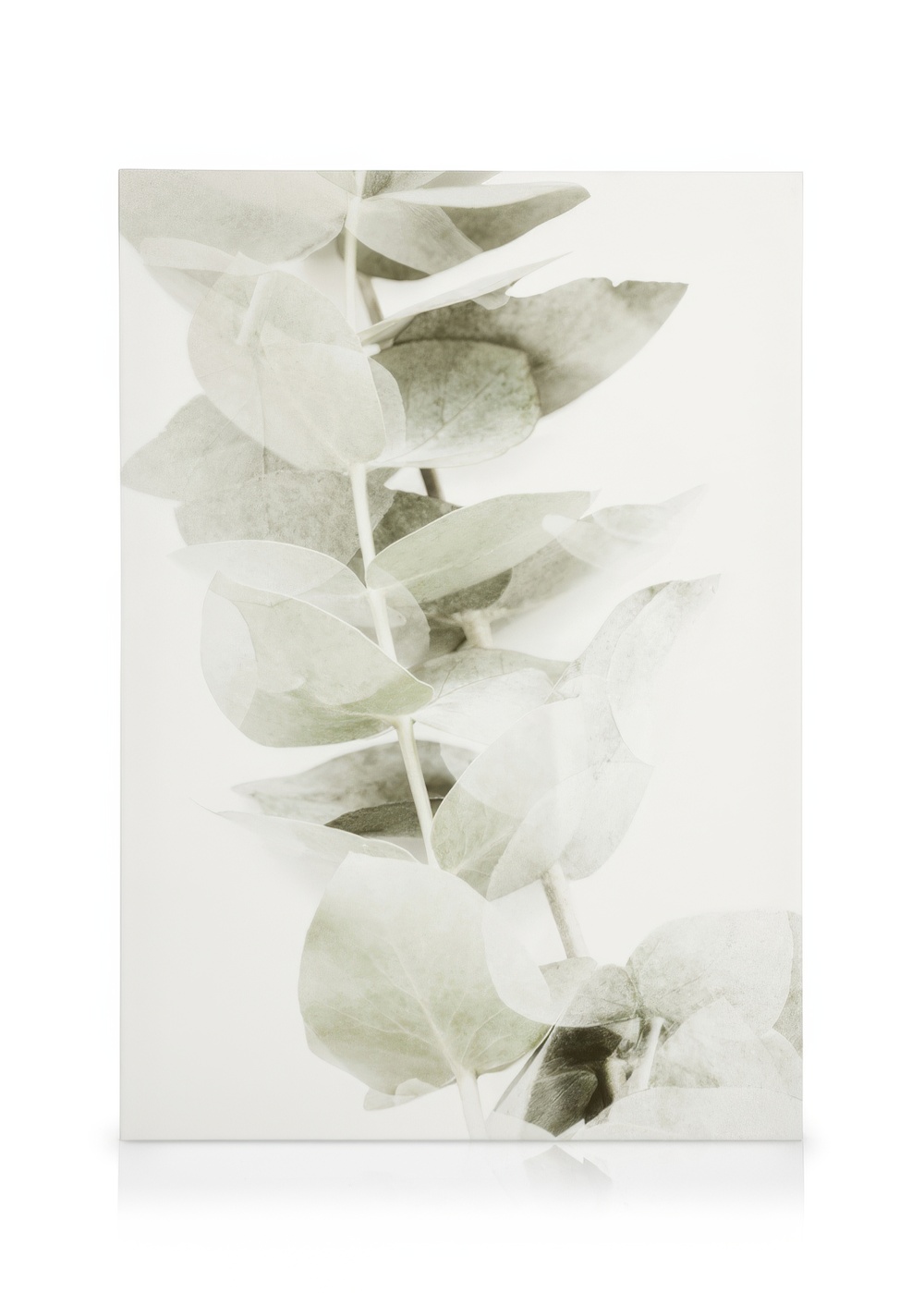 Abstract Eucalyptus No2 Canvas - Light eucalyptus leaves - desenio.com.au