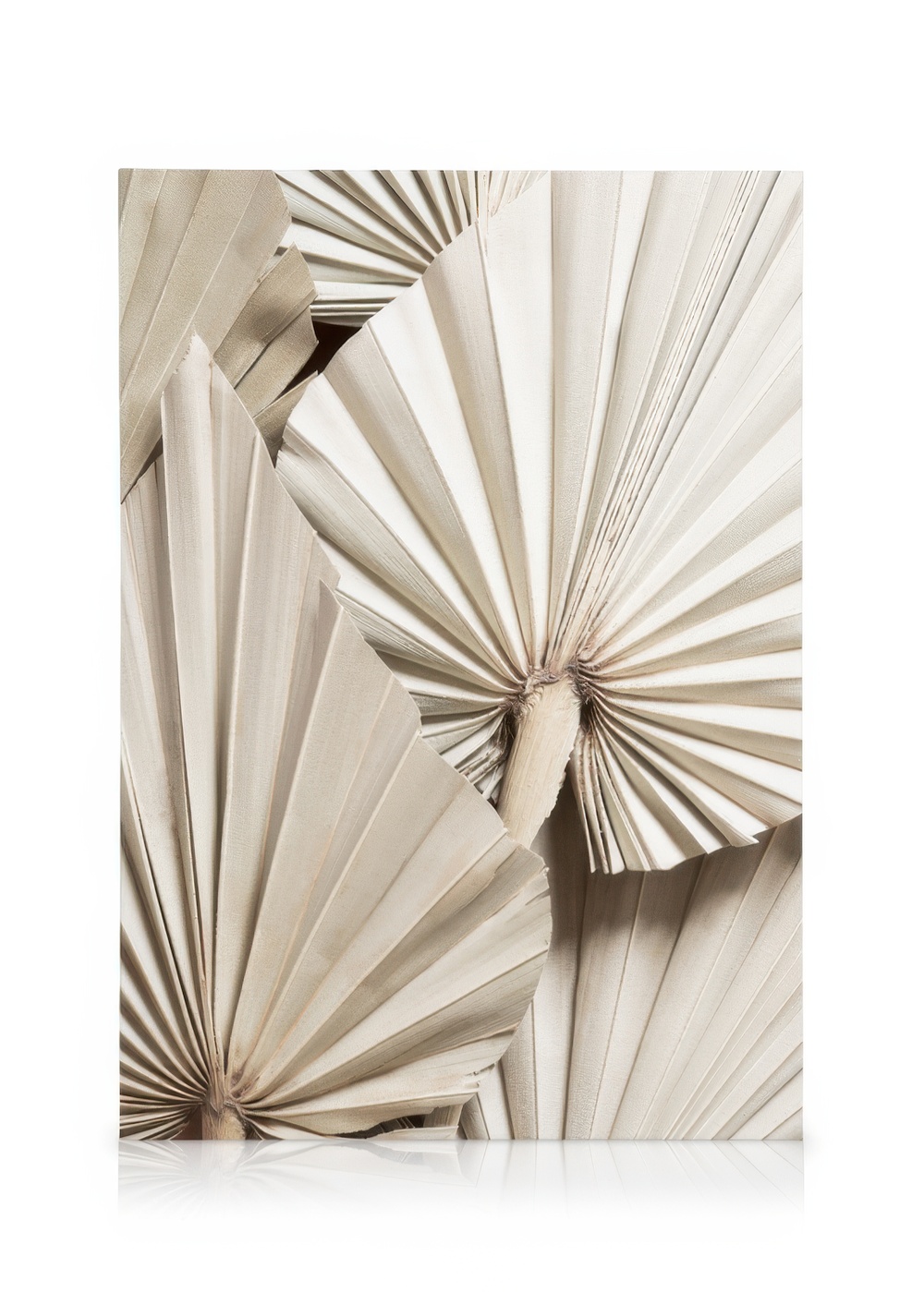 Pleated Palm Canvas - Neutral Botanical Art | Desenio EU
