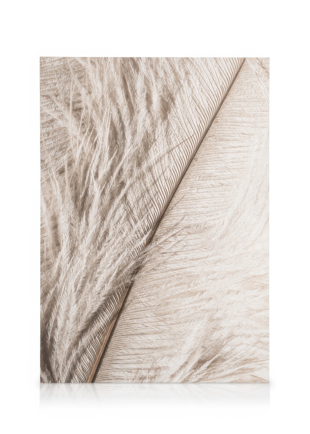 Feather Close Up Stampa su Tela Beige – Arte Moderna | Desenio