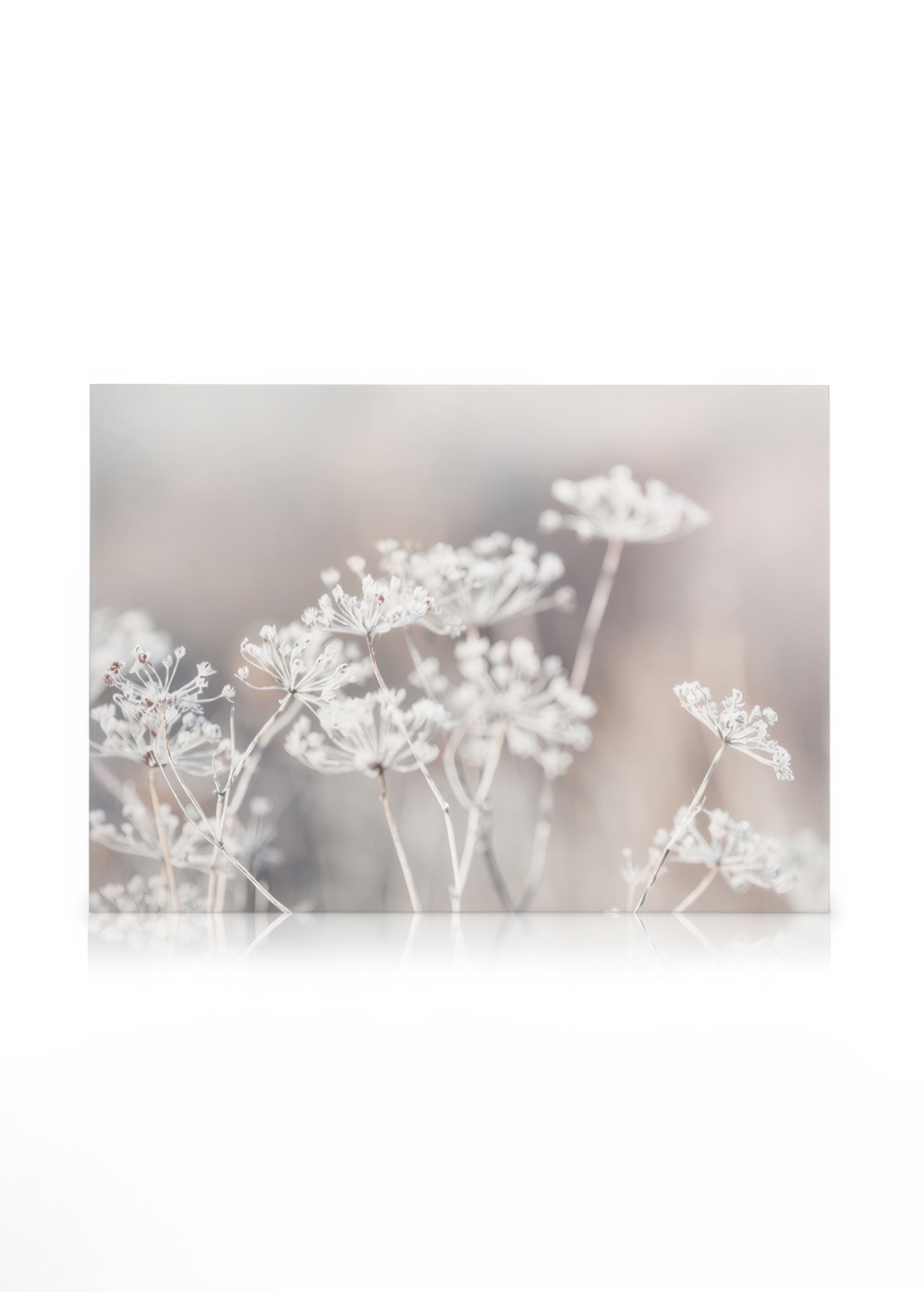 Lienzo Frozen Botanical – Arte floral elegante para tu hogar | Desenio