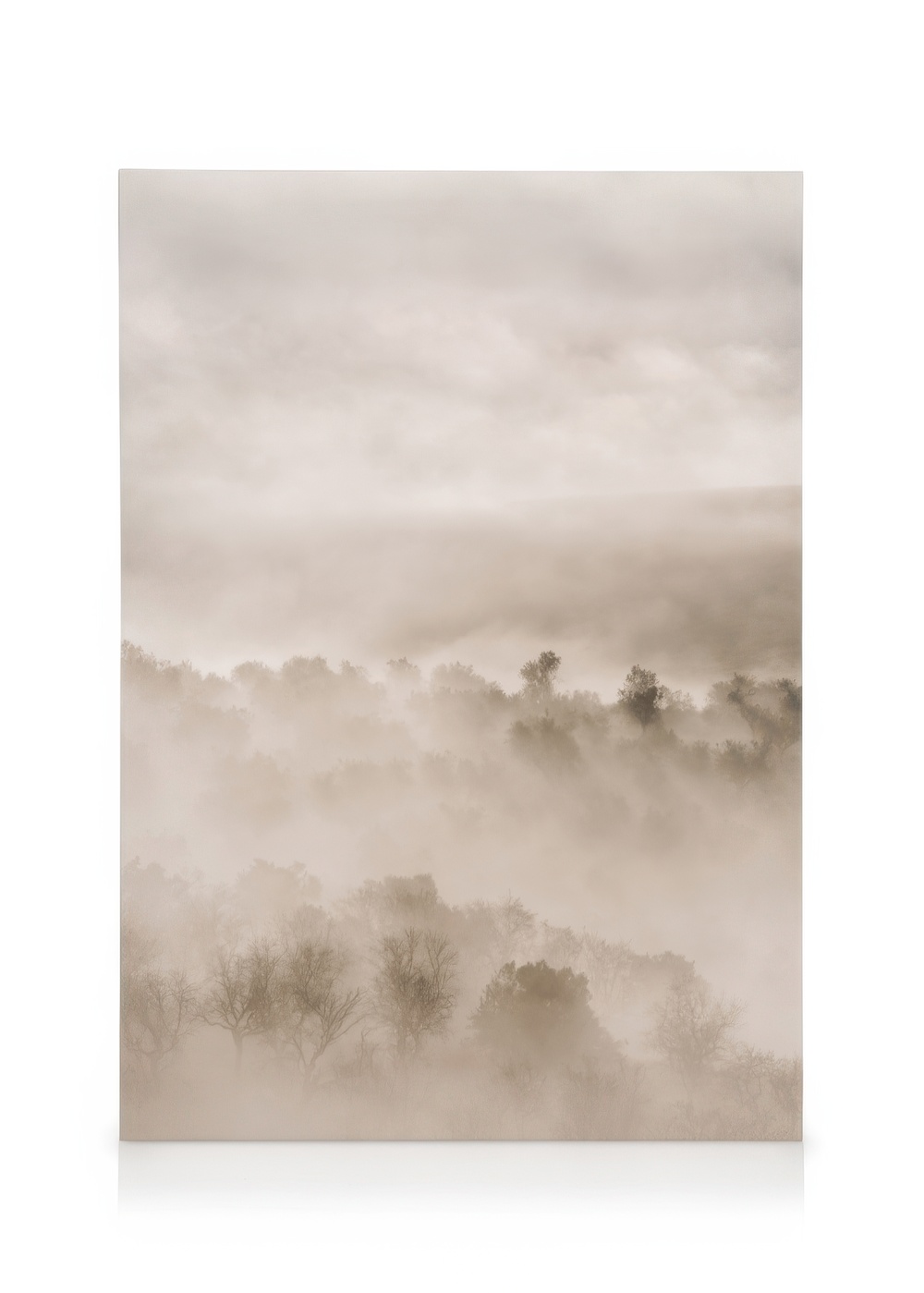 Nebel Landschaft Leinwandbild – Foggy Landscape | Desenio.de