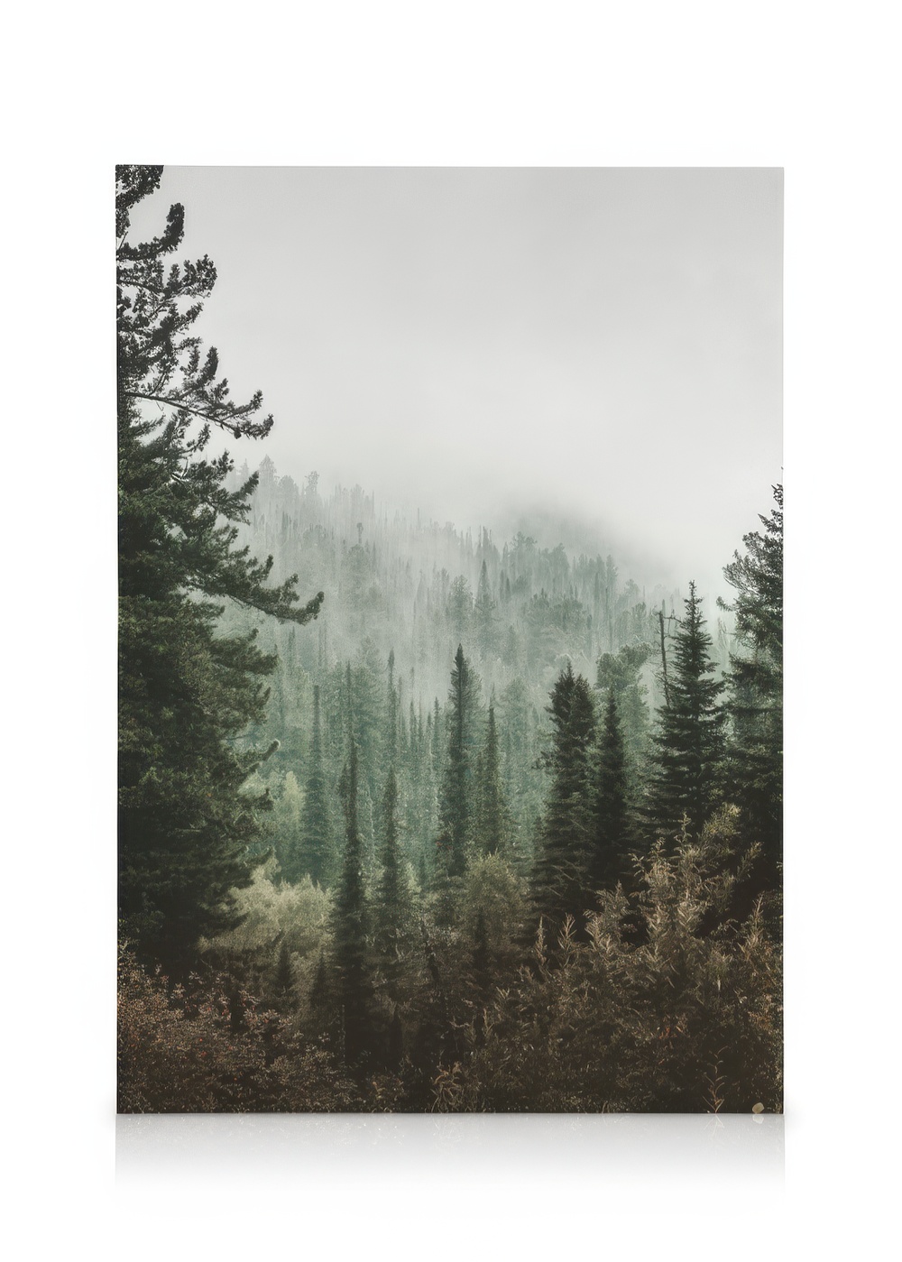 Deep Green Forest Canvas - Forest in green - desenio.com.au