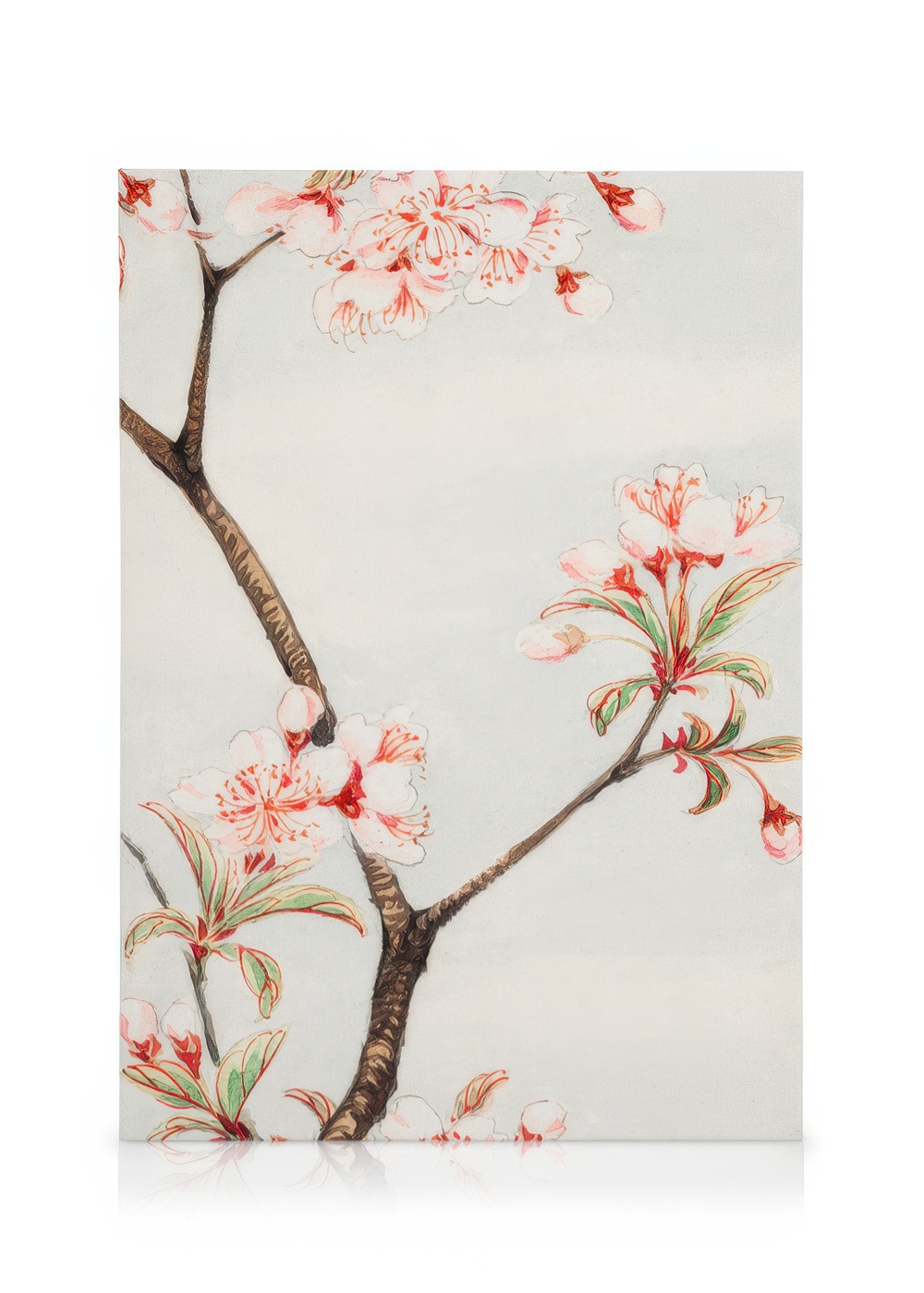 Toile Megata Morikaga Sakura Cherry – Art floral élégant