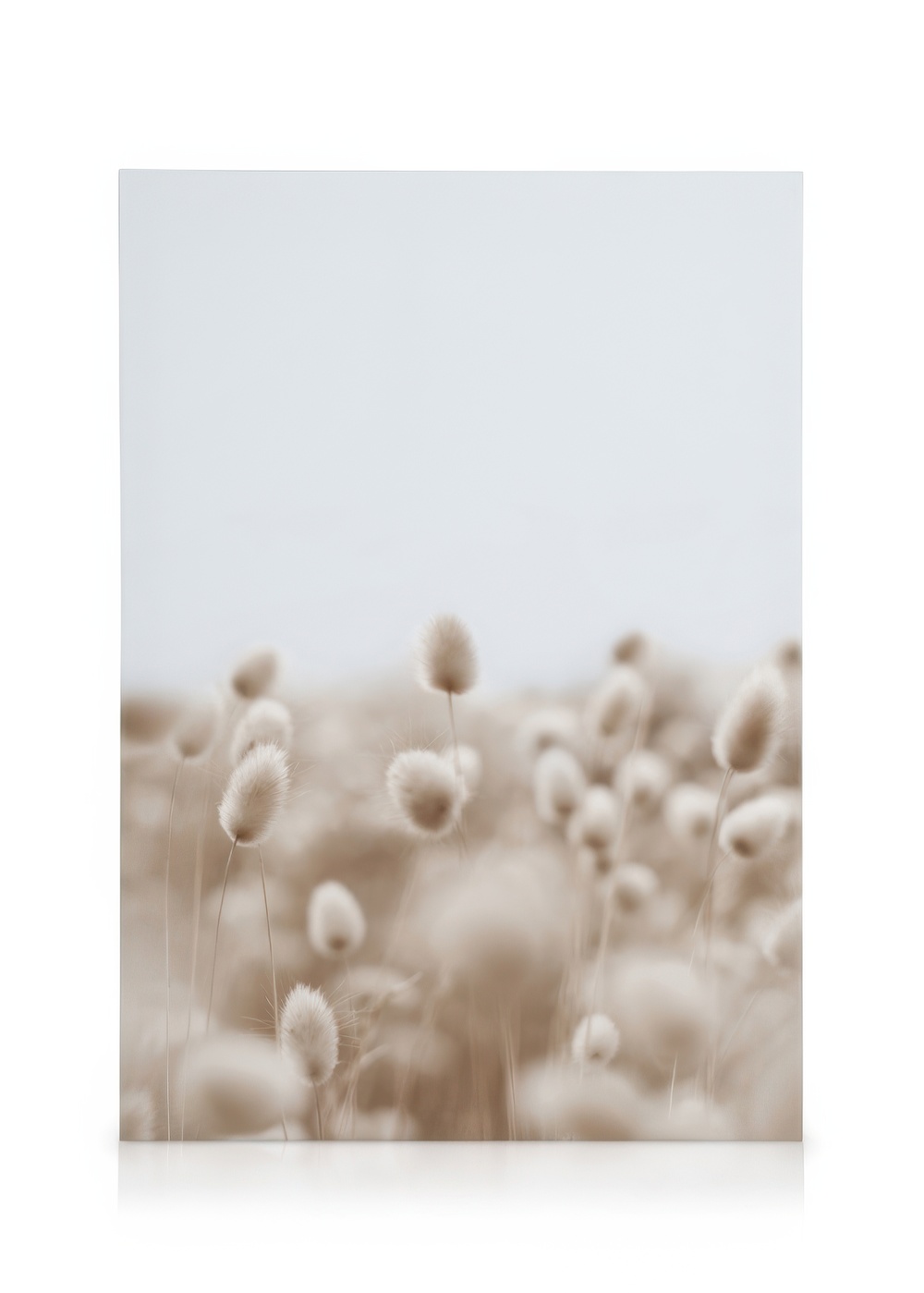 Soft Grass Canvas - Neutral Nature Canvas | Desenio EU
