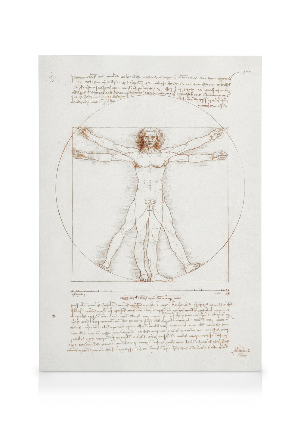 Toile Leonardo Da Vinci - L'Homme de Vitruve | Art Renaissance sur ...