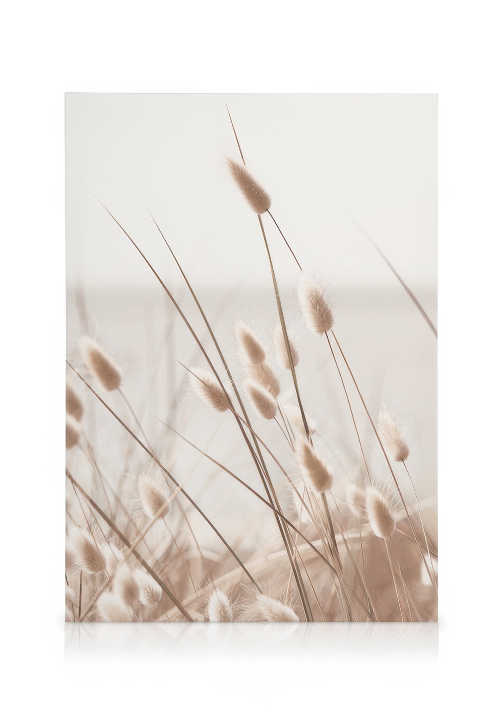 Beige Grass by the Sea Lerret – Naturbilde på lerret | Desenio NO