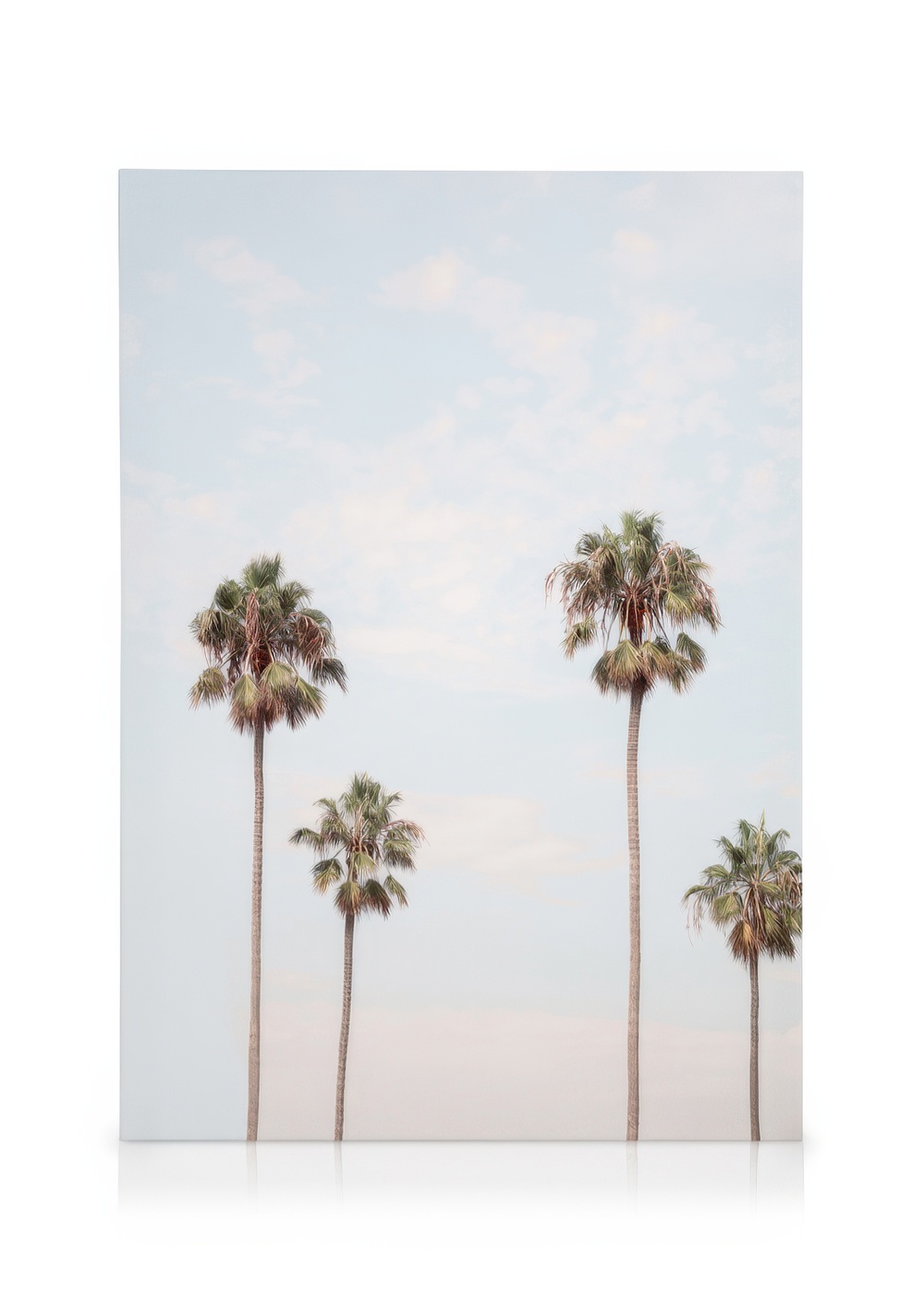 Palm Sky Poster – Lærredstryk med palmer | Desenio.dk