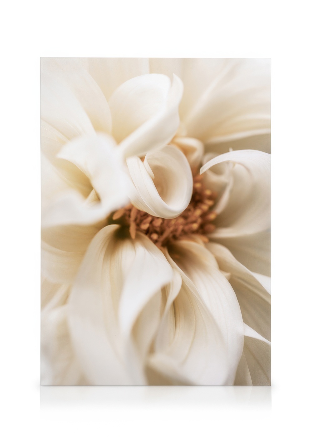 Warm Flower No1 Canvas - Beige Bloemenkunst | Desenio BE