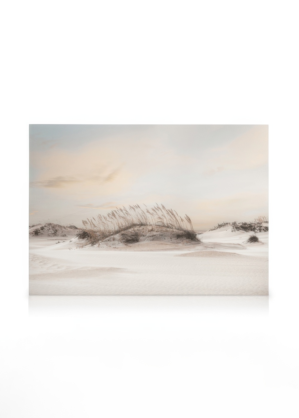 Dune Landscape – Obraz na plátne | Prírodná krajina | Desenio.sk