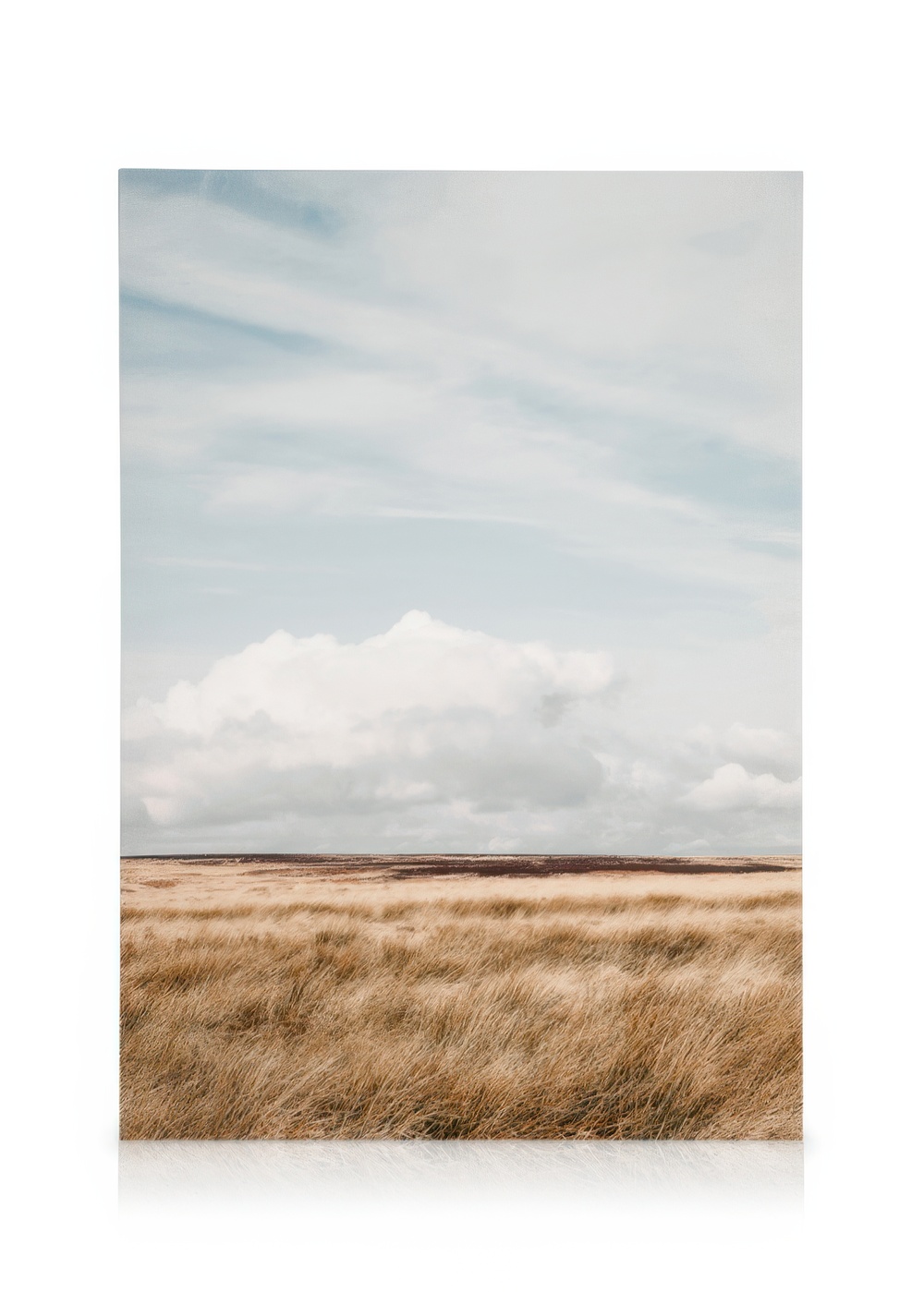 Moorland Canvas Print – Rustic Landscape Wall Art | Desenio