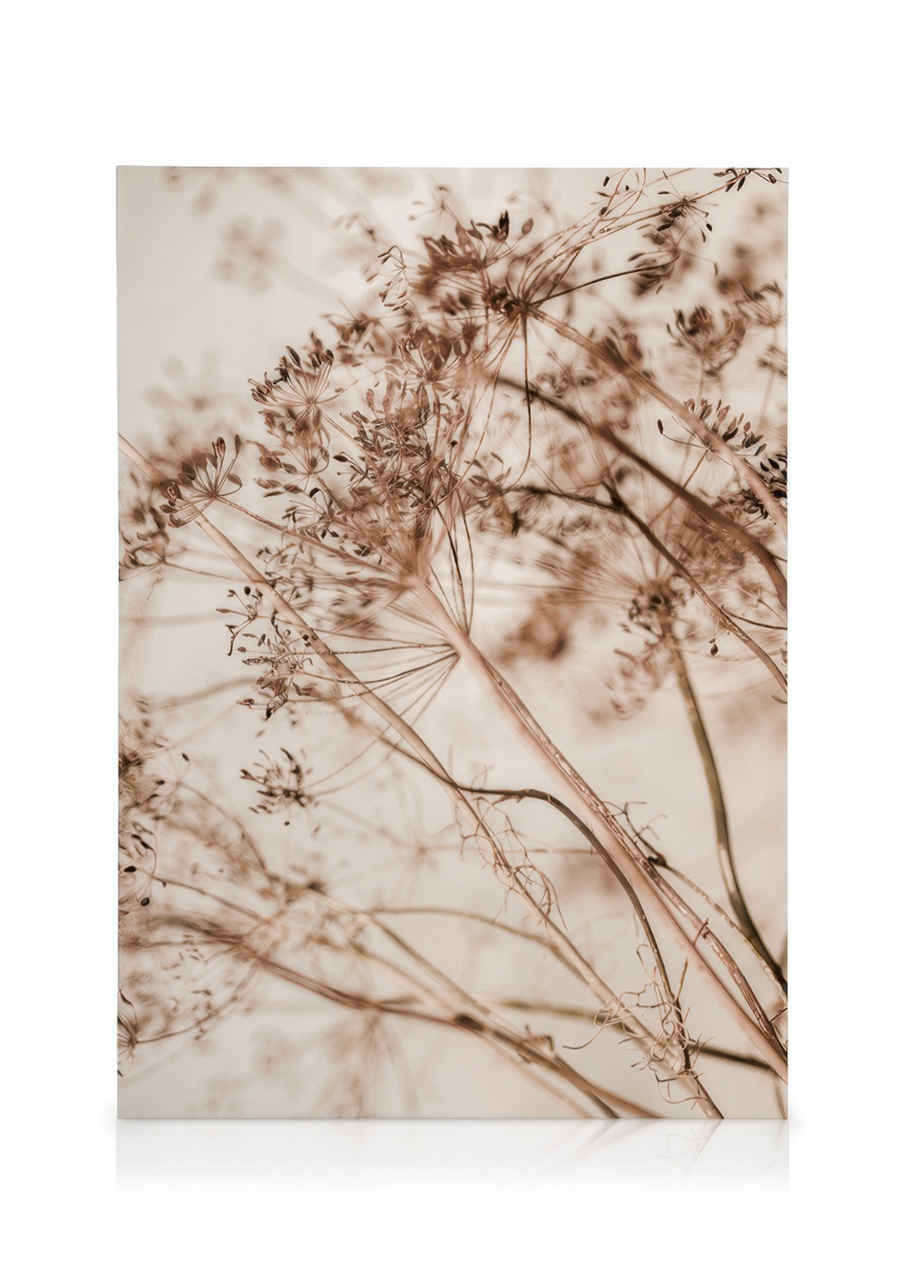 Dried Flourish Canvas - Botanische Kunstwerk | Desenio BE