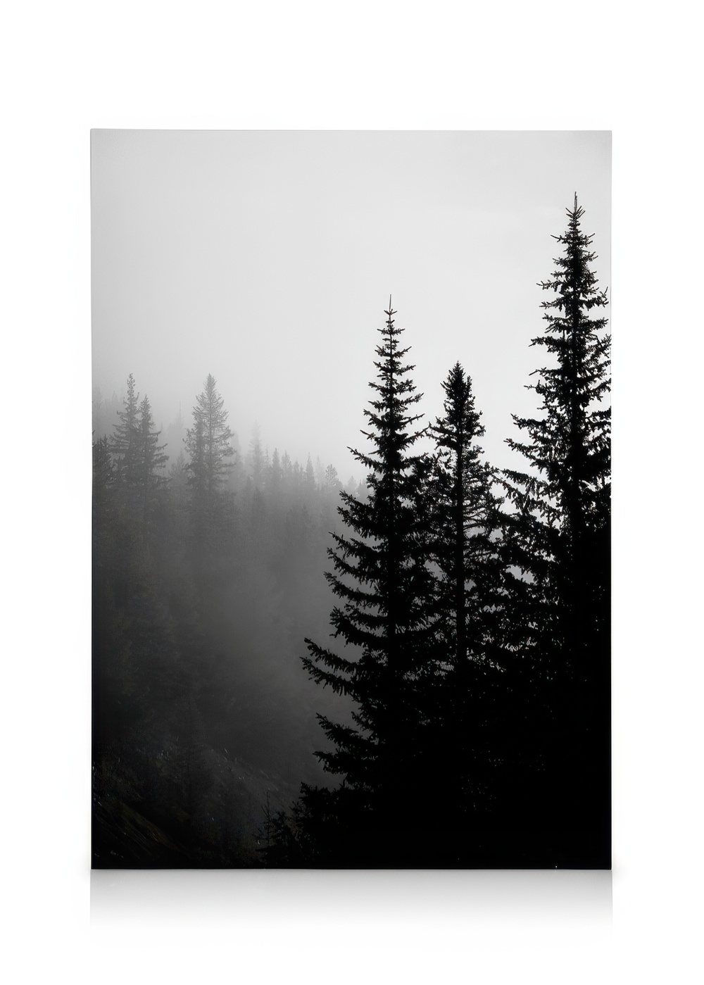 Zwart-wit Canvas Tree Tops – Natuurkunst | Desenio.nl