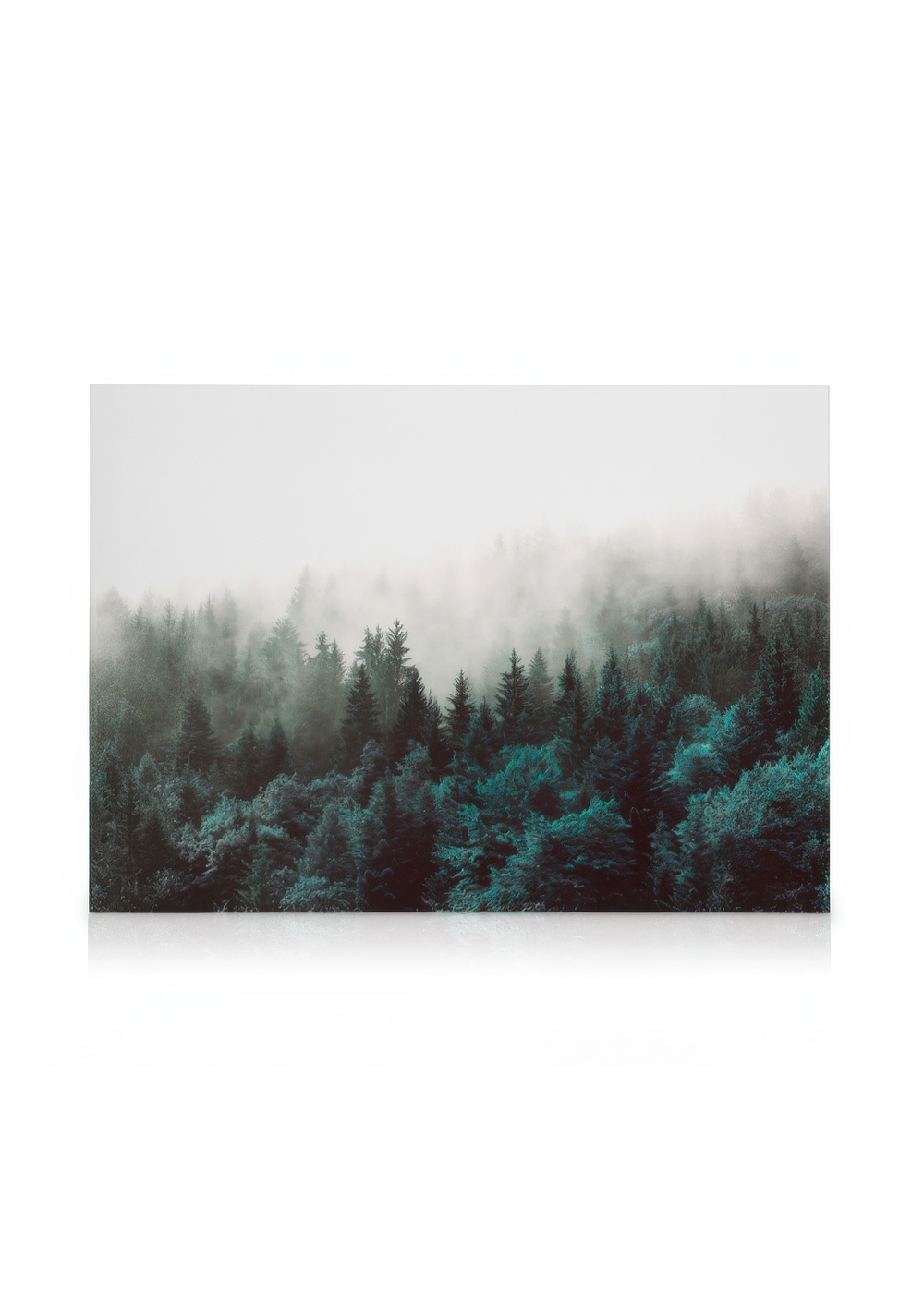 Green Forest Leinwandbild – Nebeliger Wald auf Leinwand | desenio.de