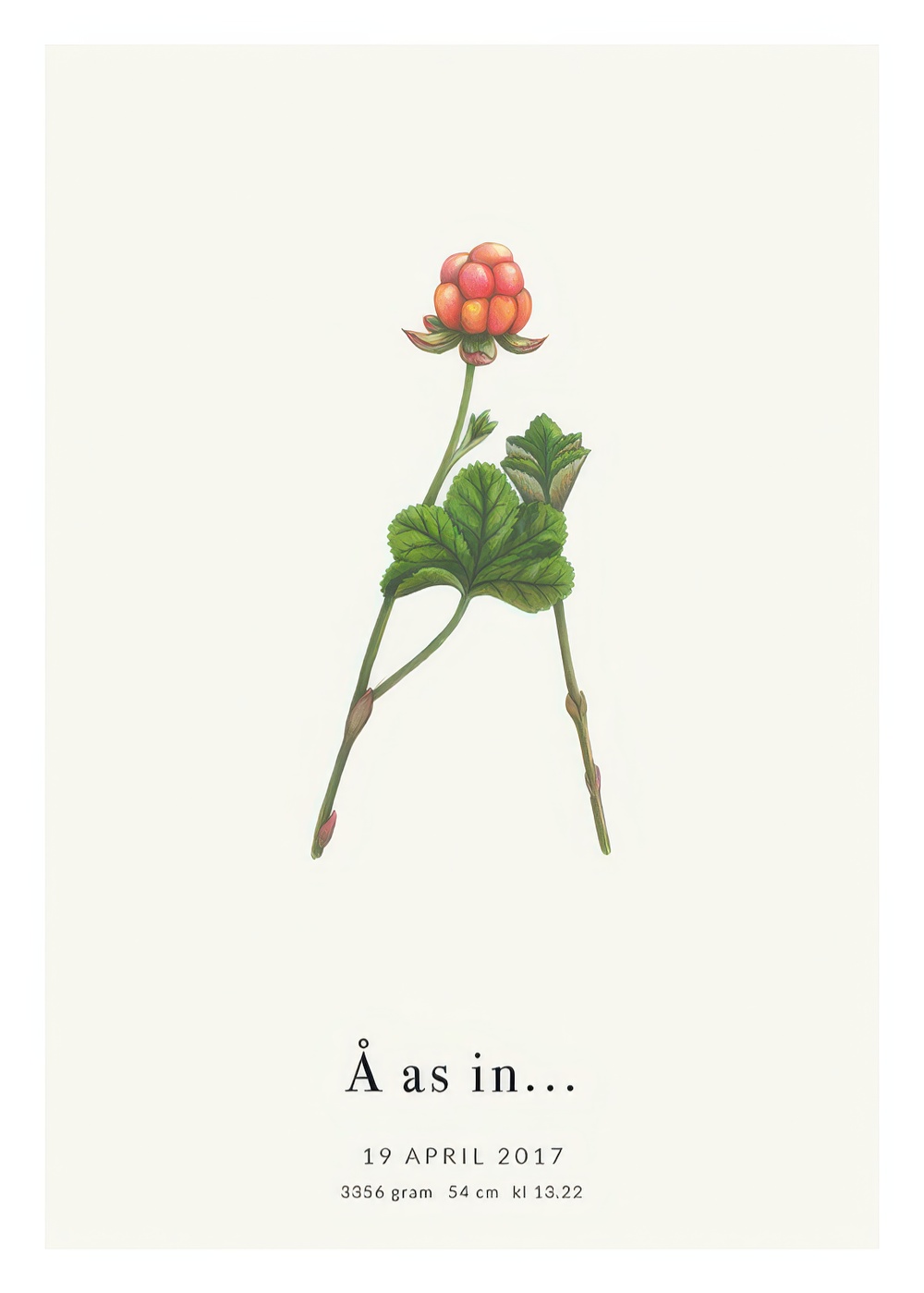 Botanic Letter Å Personalised Poster – Custom Print | desenio.co.uk