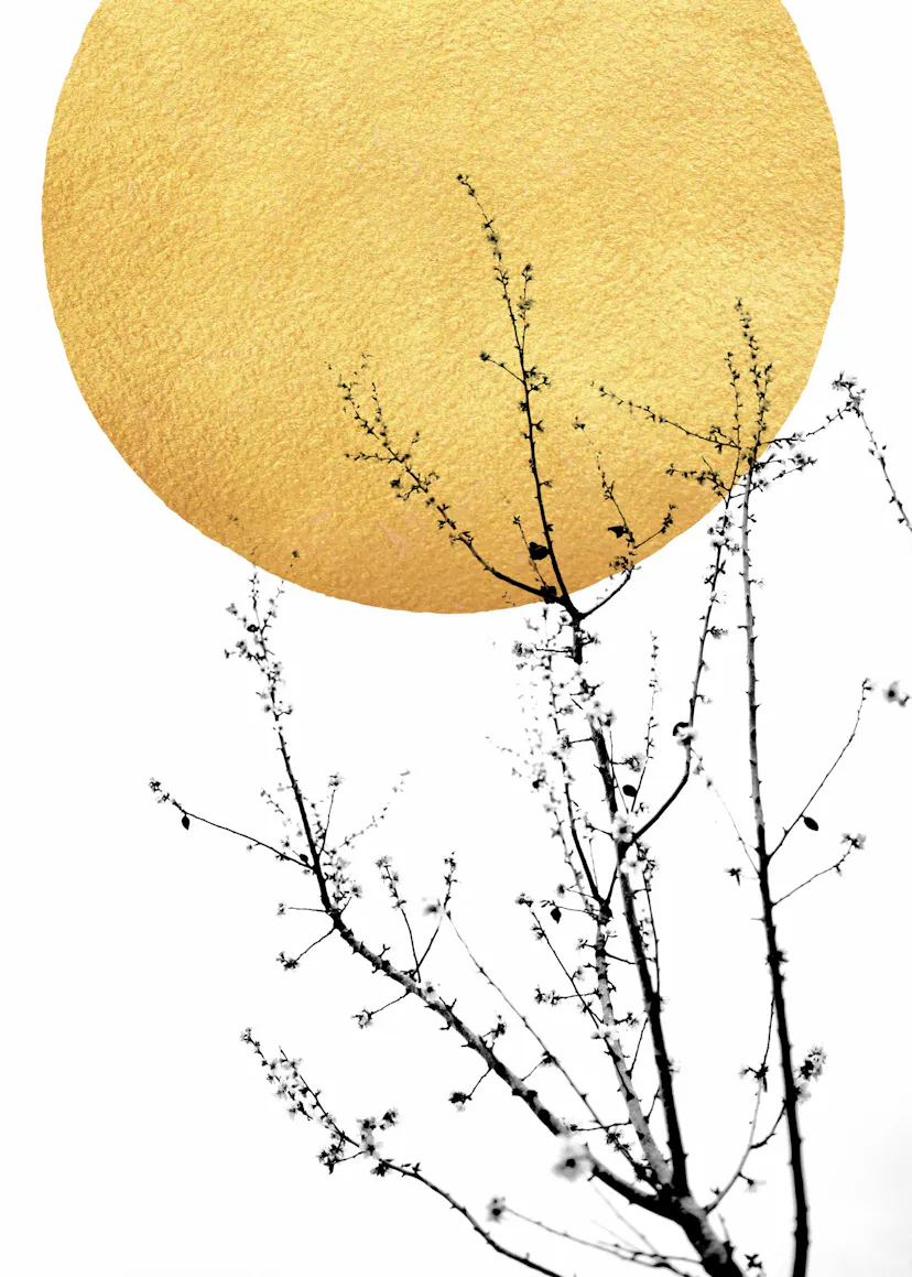 Tracie Andrews - Cyra Print Abstract Poster | Desenio CA