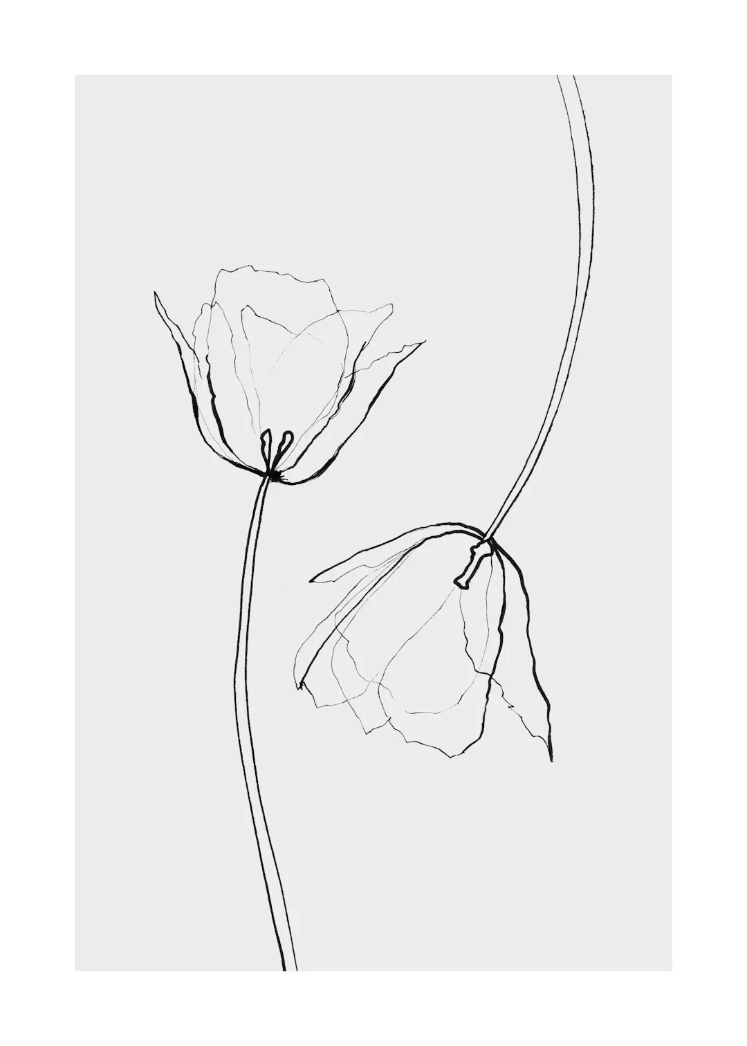 Line art prints | Desenio.co.uk