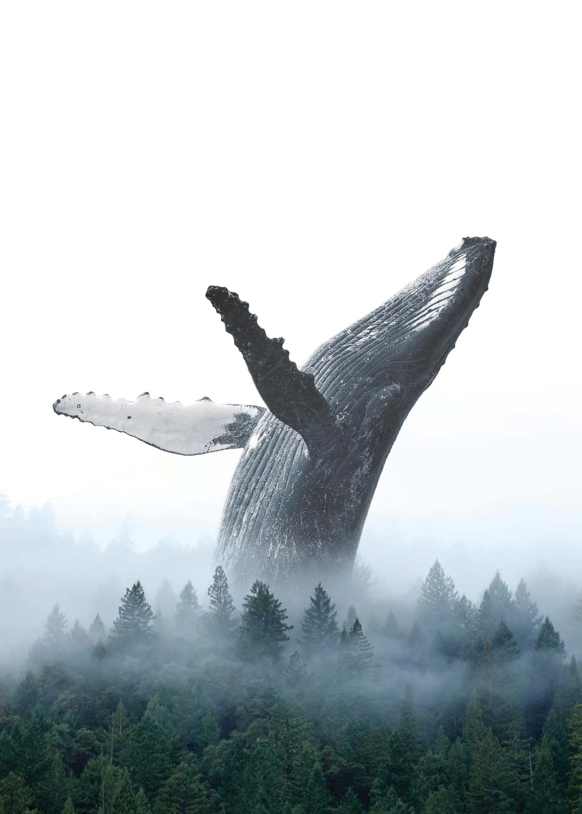 Whale in Forest Print – Surreal Nature Poster | Desenio