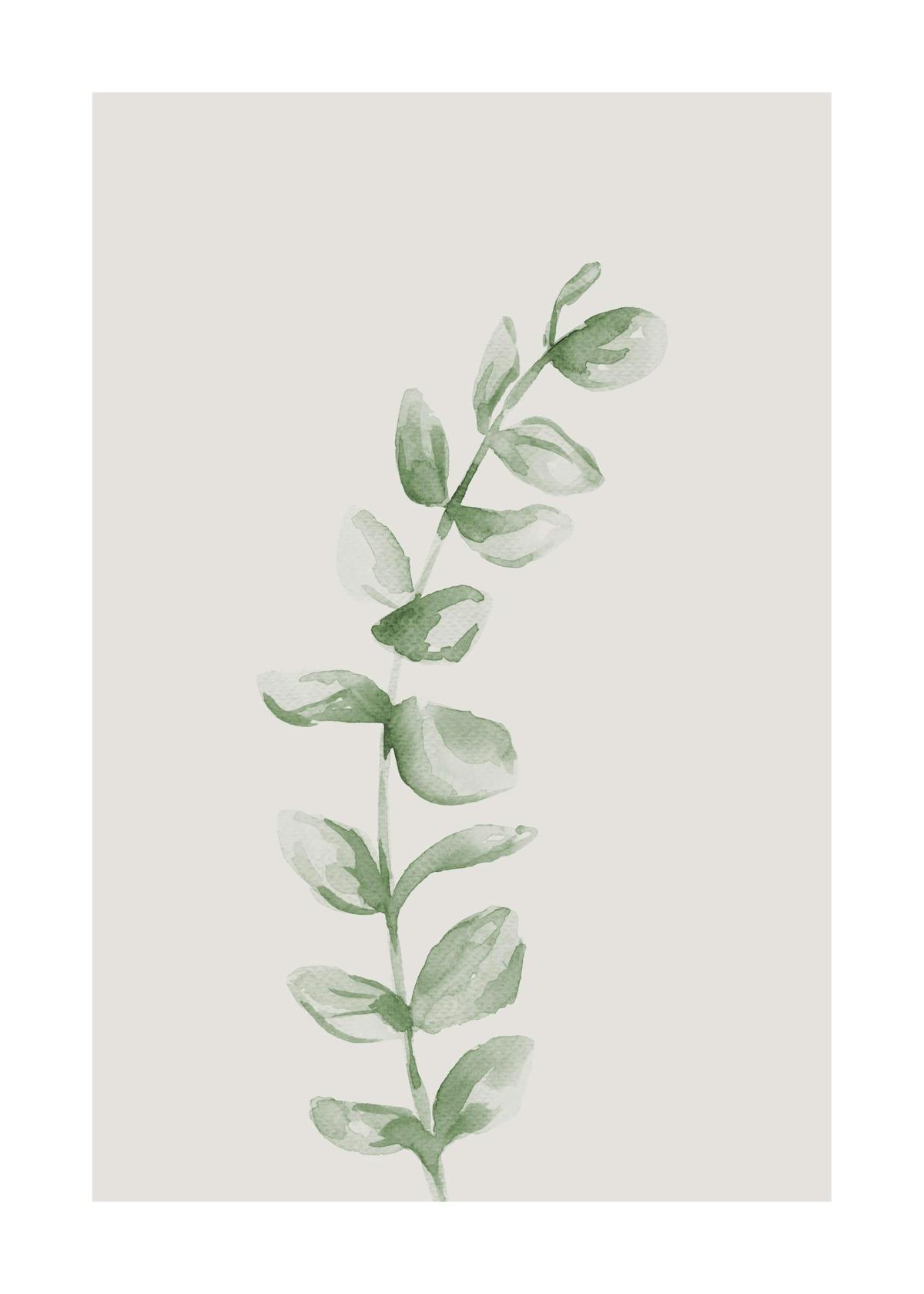 Painted Plant Print – Botanical Art Poster | Desenio