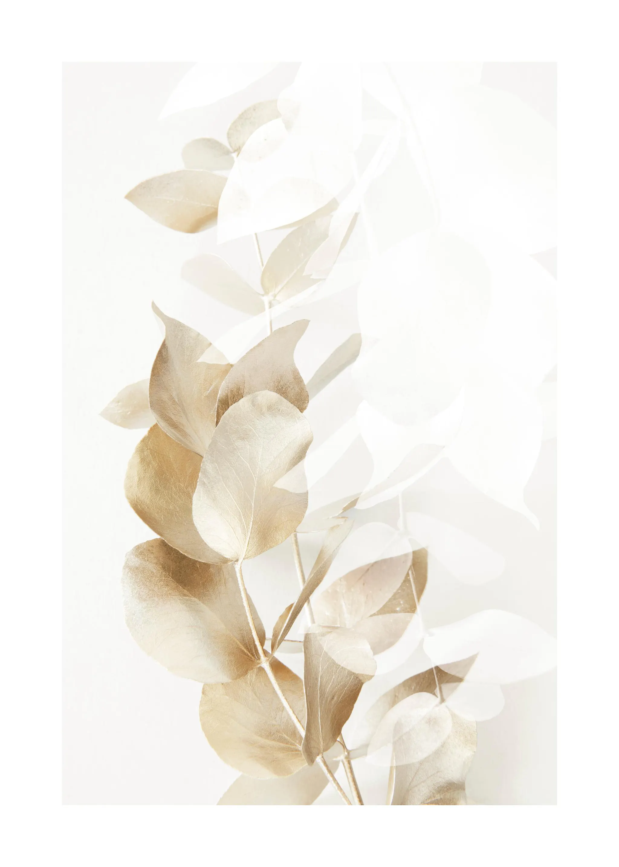 Beige Golden Flow No2 Poster – Abstrakt konst i beige och guld | desenio.se