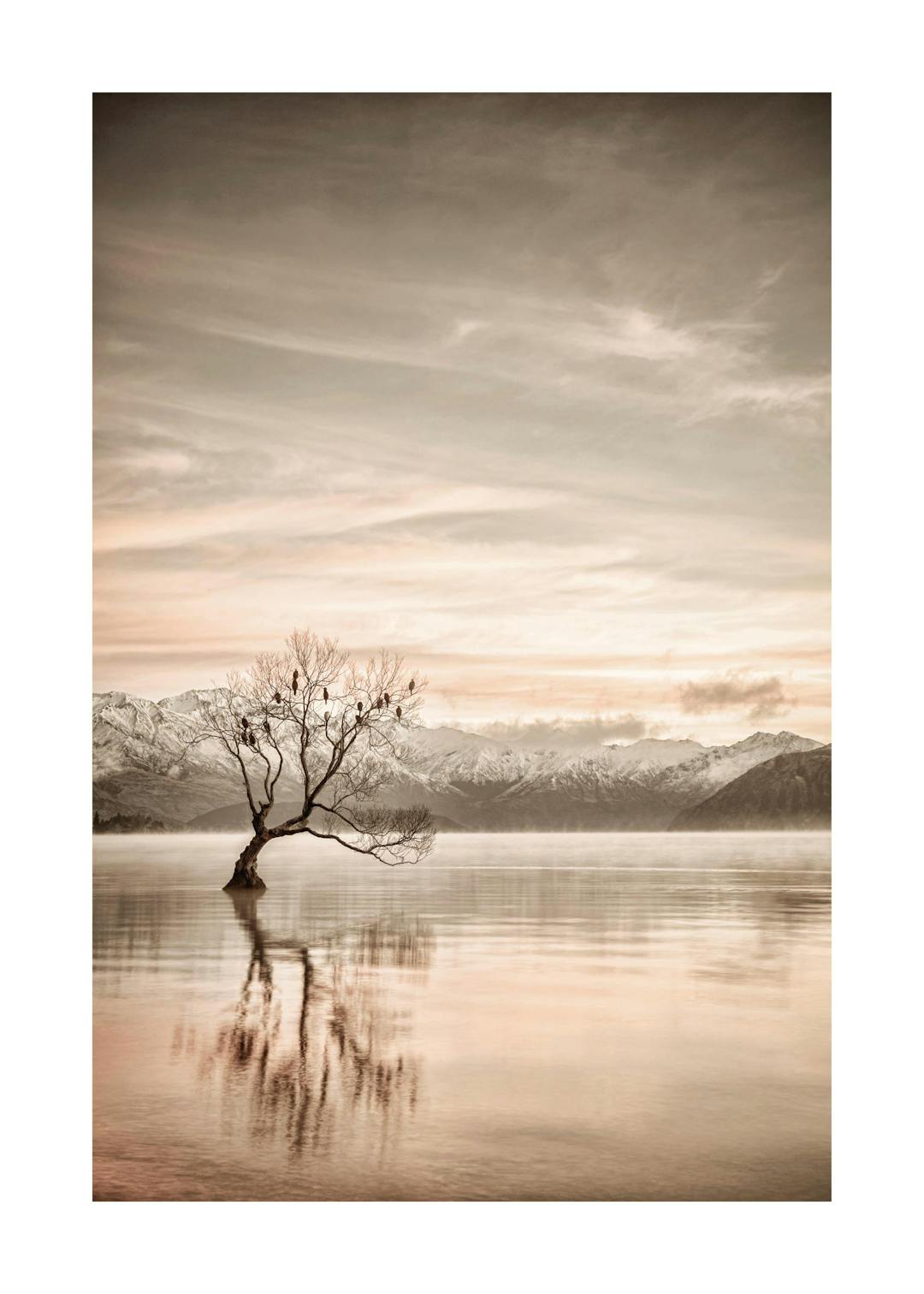 Leonardo da Vinci Mona Lisa Poster | Desenio UK