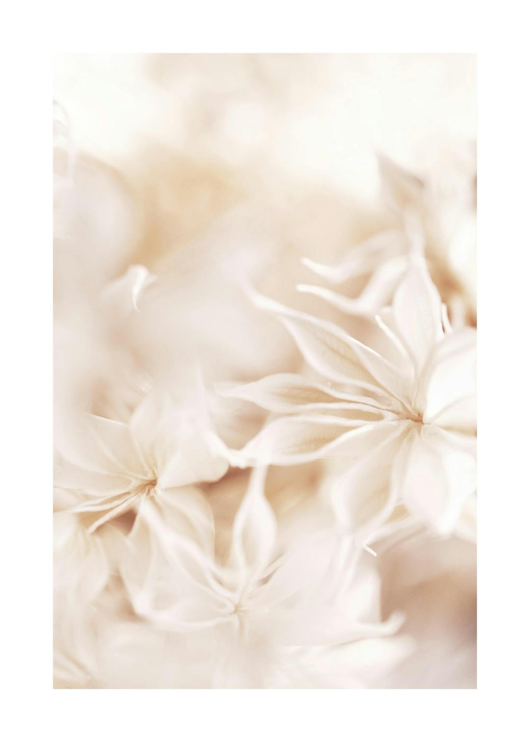 Soft Petals Print – Elegant Floral Poster | Desenio UK