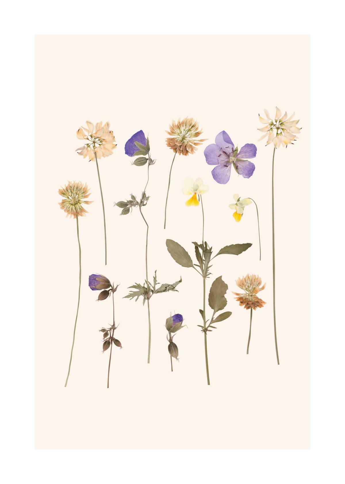 Affiche Vintage Flowers Two – Illustration botanique rétro sur desenio.fr