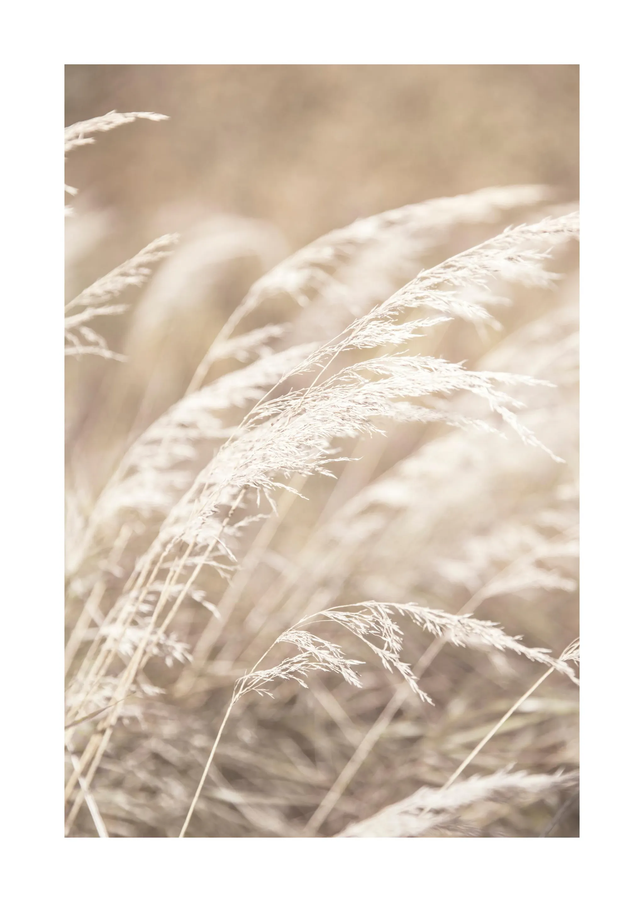 Neutral Watercolor No2 Poster - Beige acquerello - desenio.it