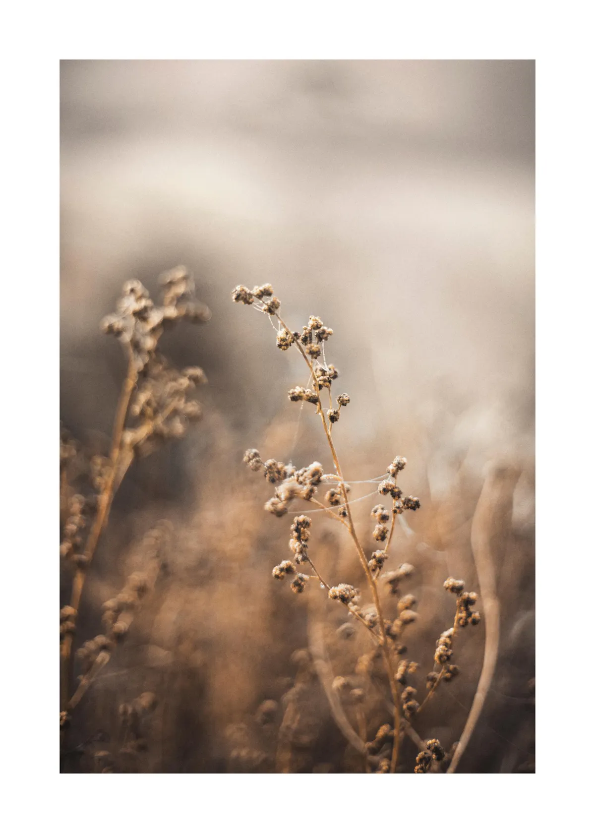 Sparks Lake Print – Nature Photography Poster | Desenio