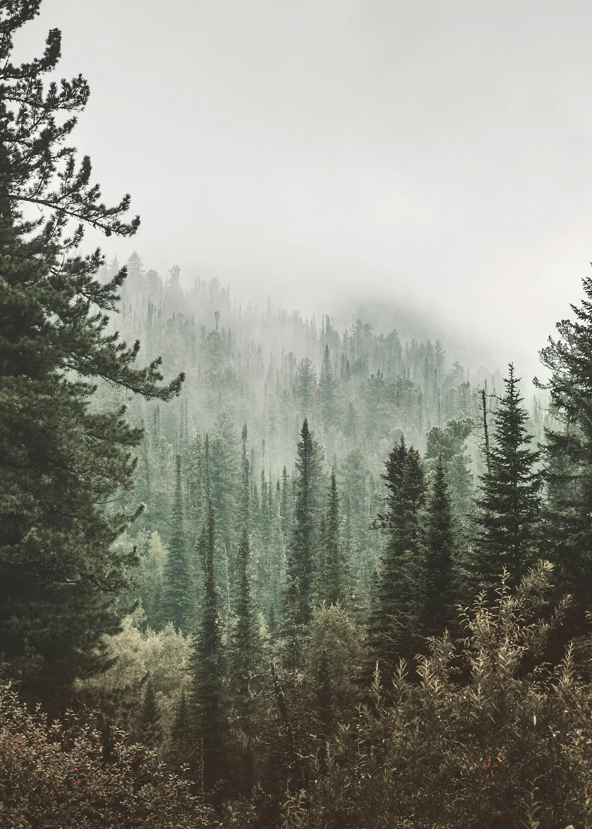 Sparks Lake Print – Nature Photography Poster | Desenio