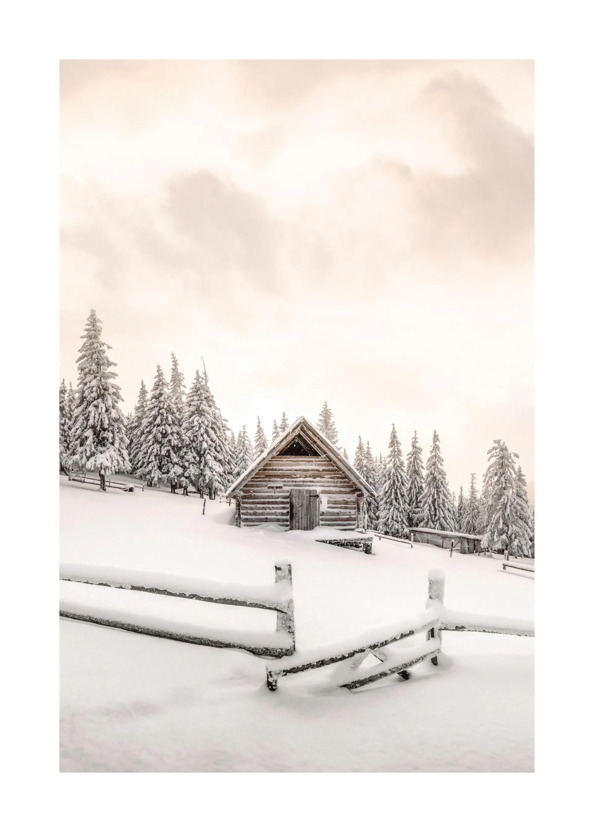Snow Covered Flowers Poster – Winterliches Naturposter | Desenio.de