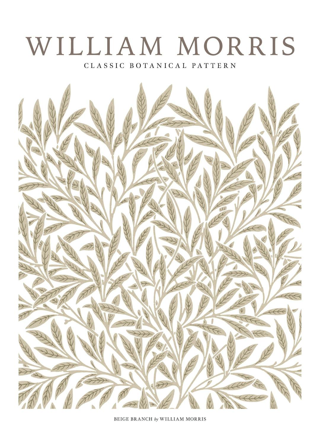 Affiche Fresh Rosemary – Plantes de romarin en pots