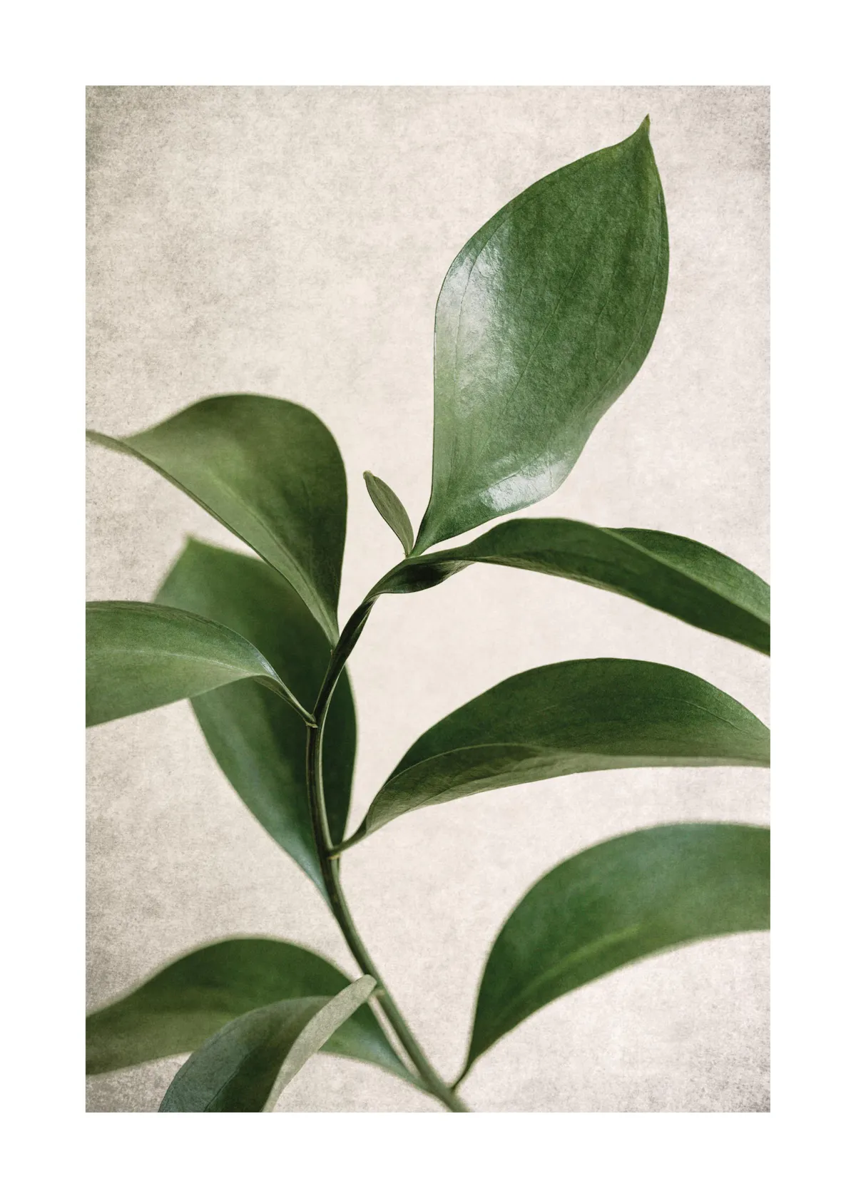 Green Coffee Cups Print - Minimalist Kitchen Poster | Desenio CA