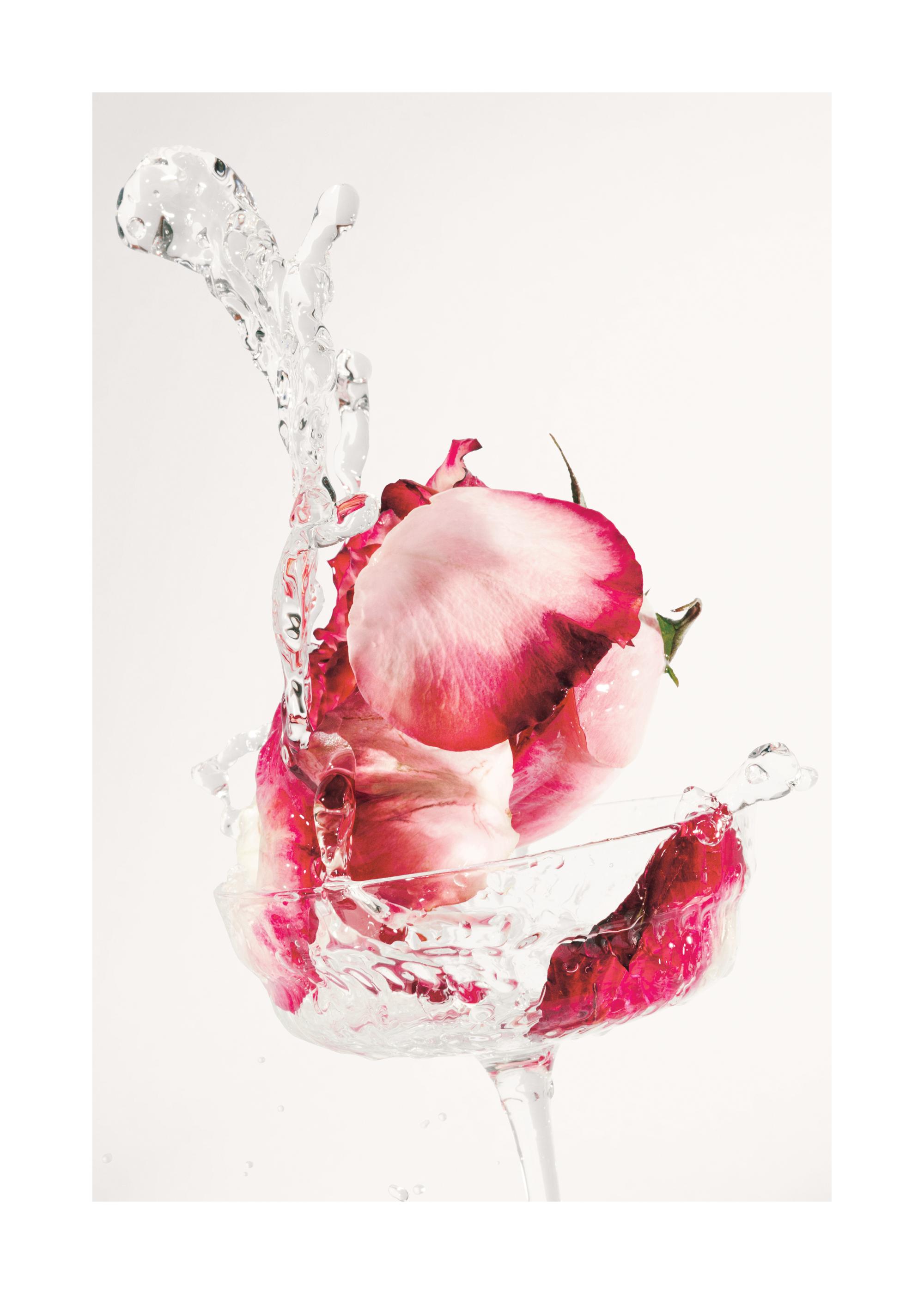 Rose Drink Splash Print - Floral Drink Poster | Desenio CA
